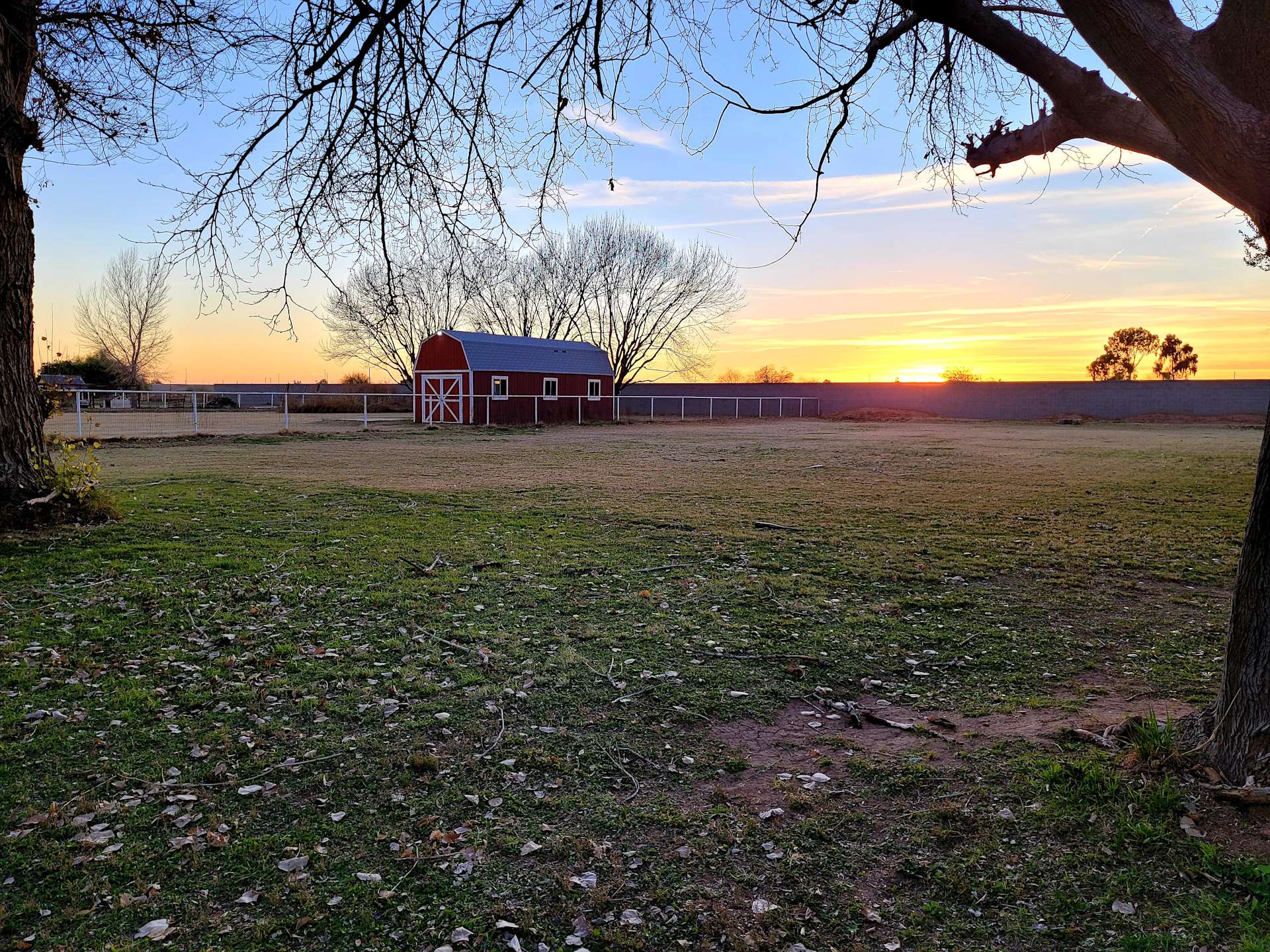 Suburban Pasture - Hipcamp in Gilbert, Arizona