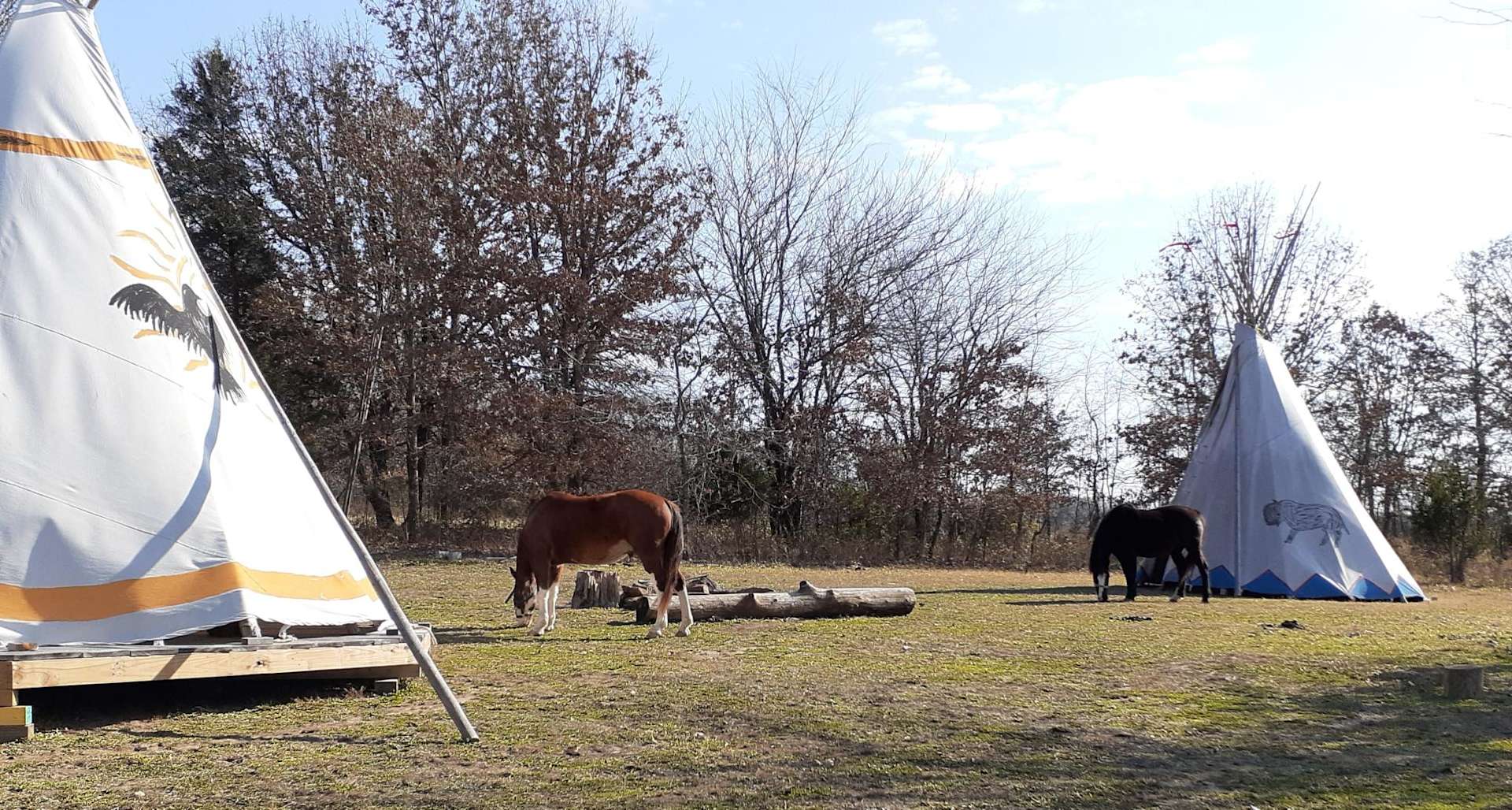 Buffalo Tipi Adventure Stockton - Hipcamp in Stockton, Missouri