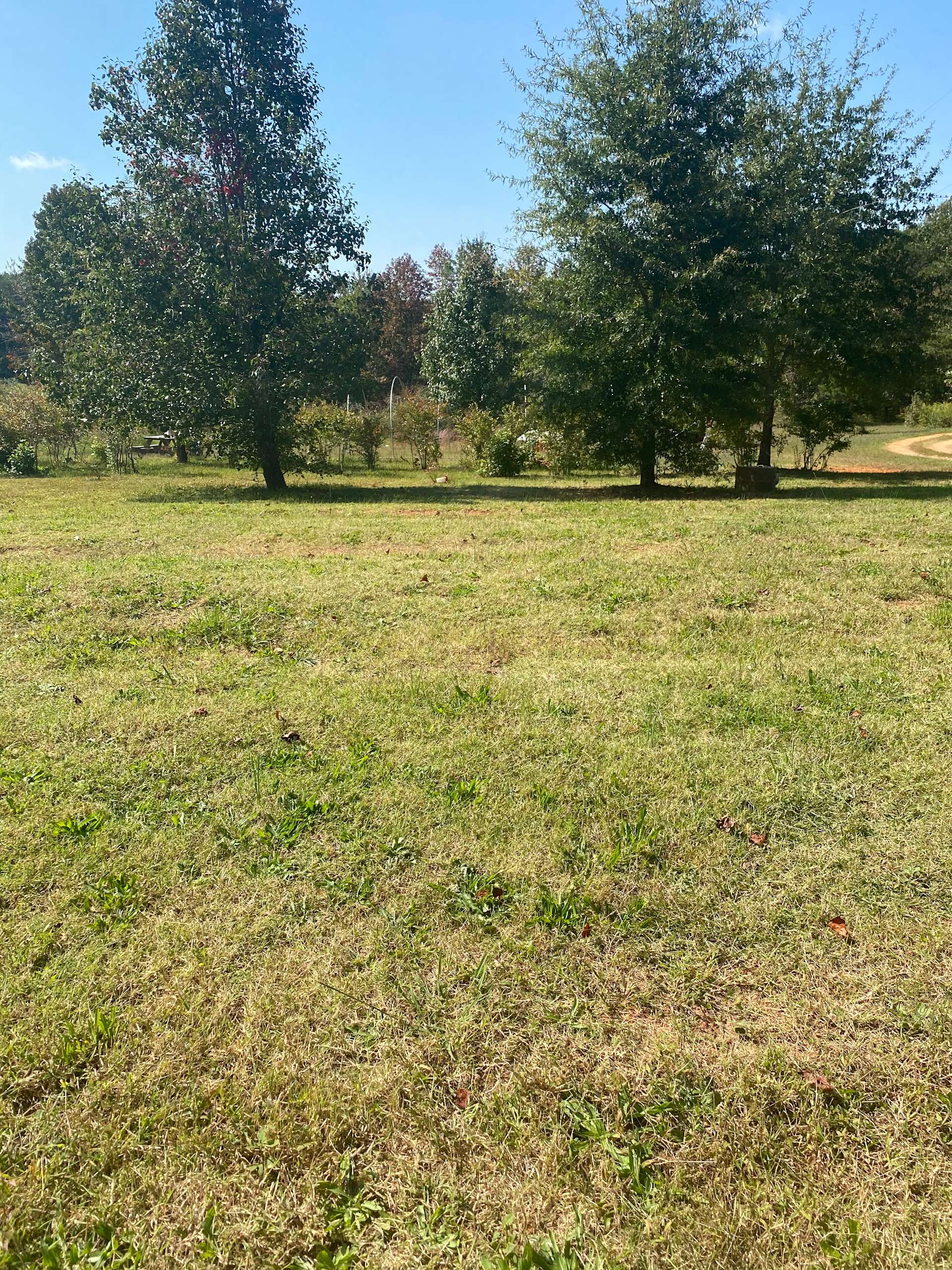 Tonya N.’s Land - Hipcamp in Pelham, North Carolina