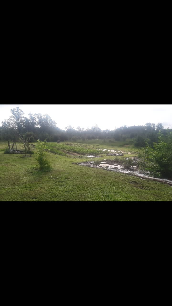 Primitive Farm Camping - Hipcamp in Java, Virginia
