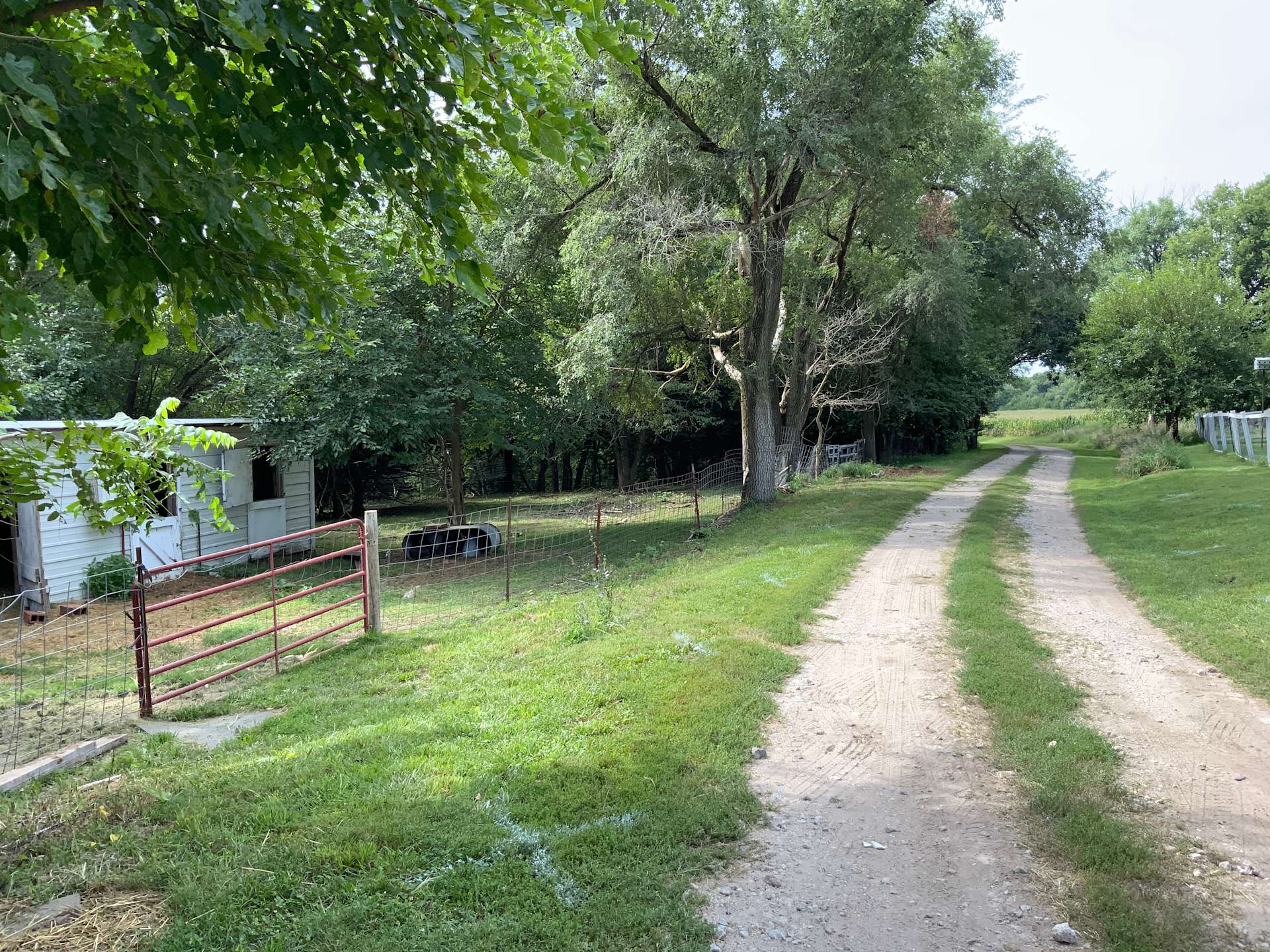 Shepherd's Rest Goat Rescue - Hipcamp in Pickrell, Nebraska