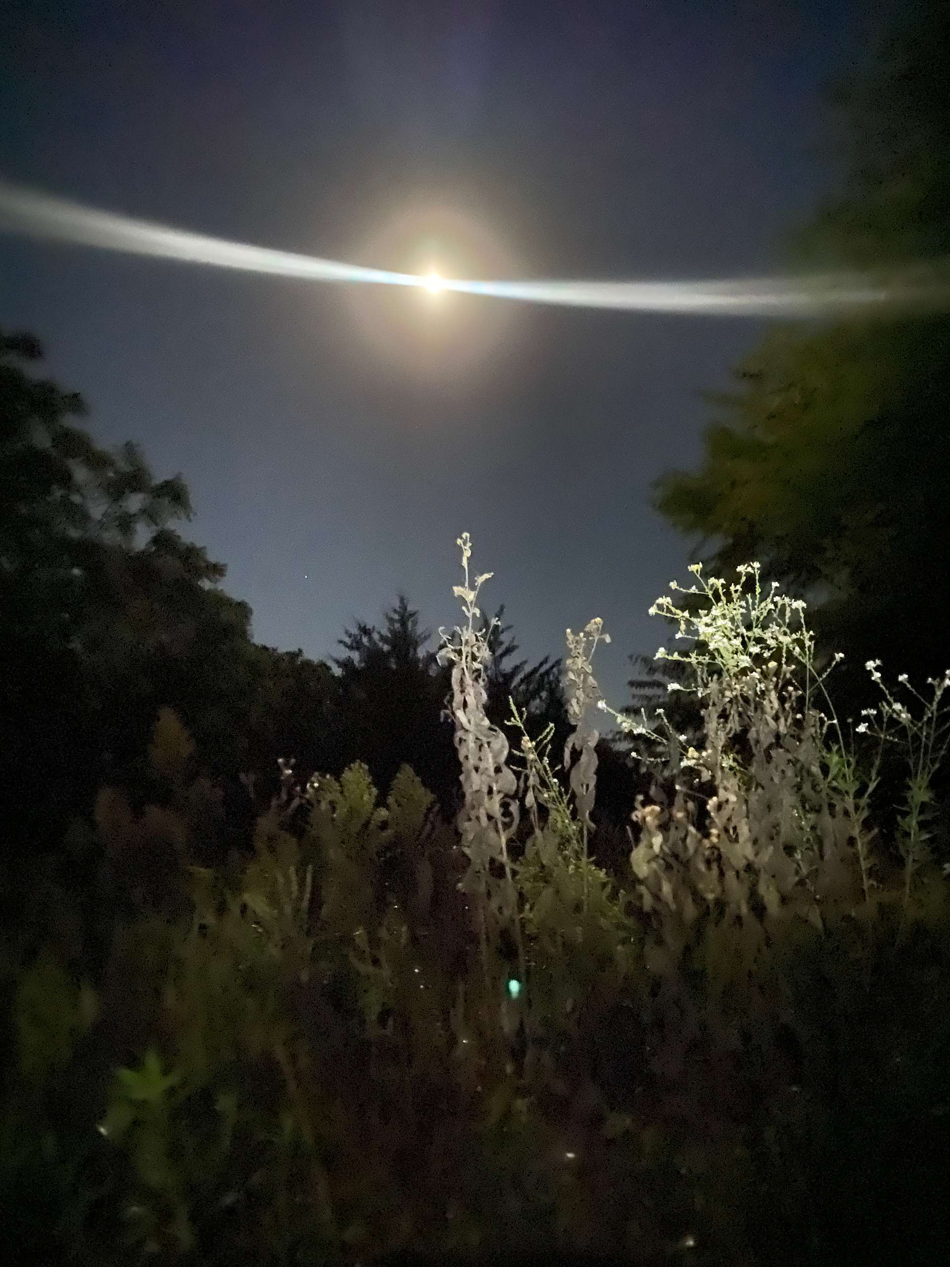 Shepherd's Rest Goat Rescue - Hipcamp in Pickrell, Nebraska