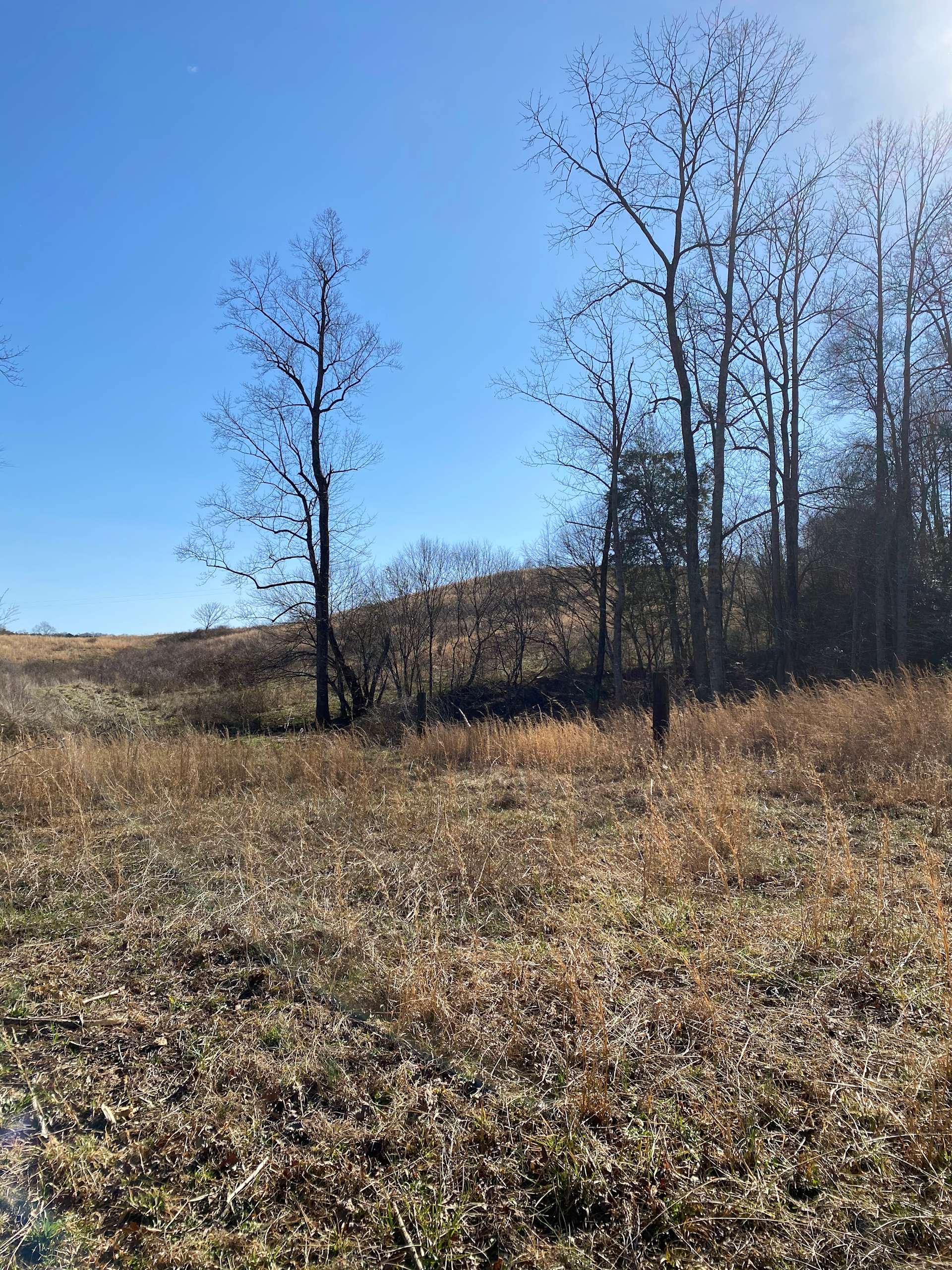Tranquil Fisher River Cattle Farm - Hipcamp in Dobson, North Carolina