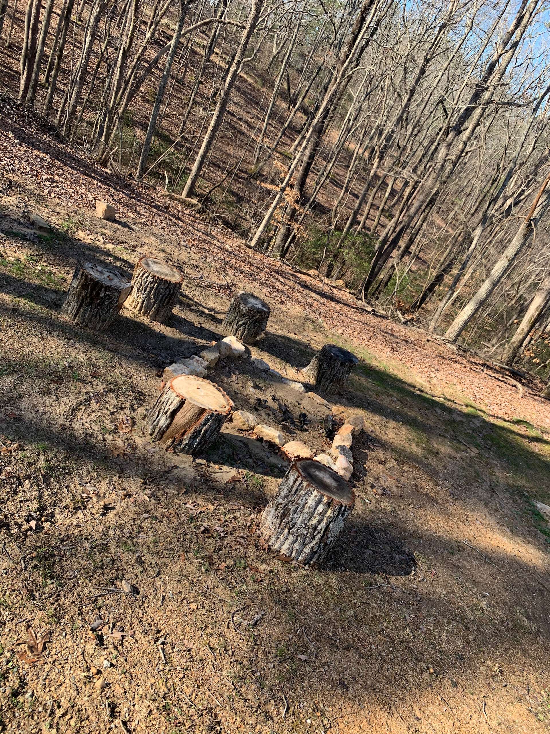 Fun Camping Compound - Hipcamp in Canton, Georgia