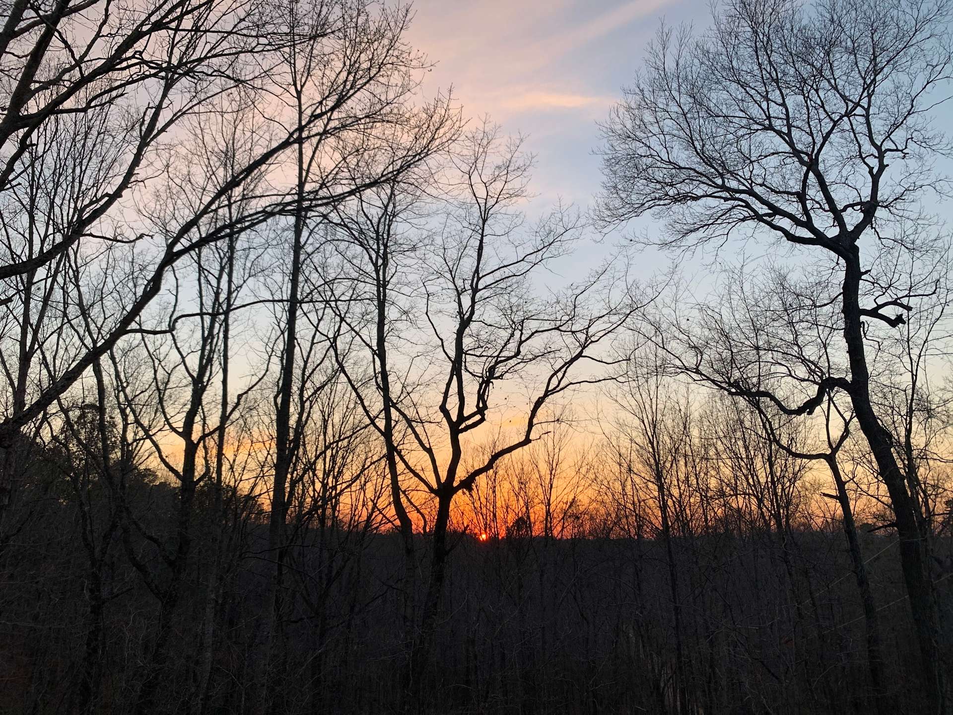 Fun Camping Compound - Hipcamp in Canton, Georgia