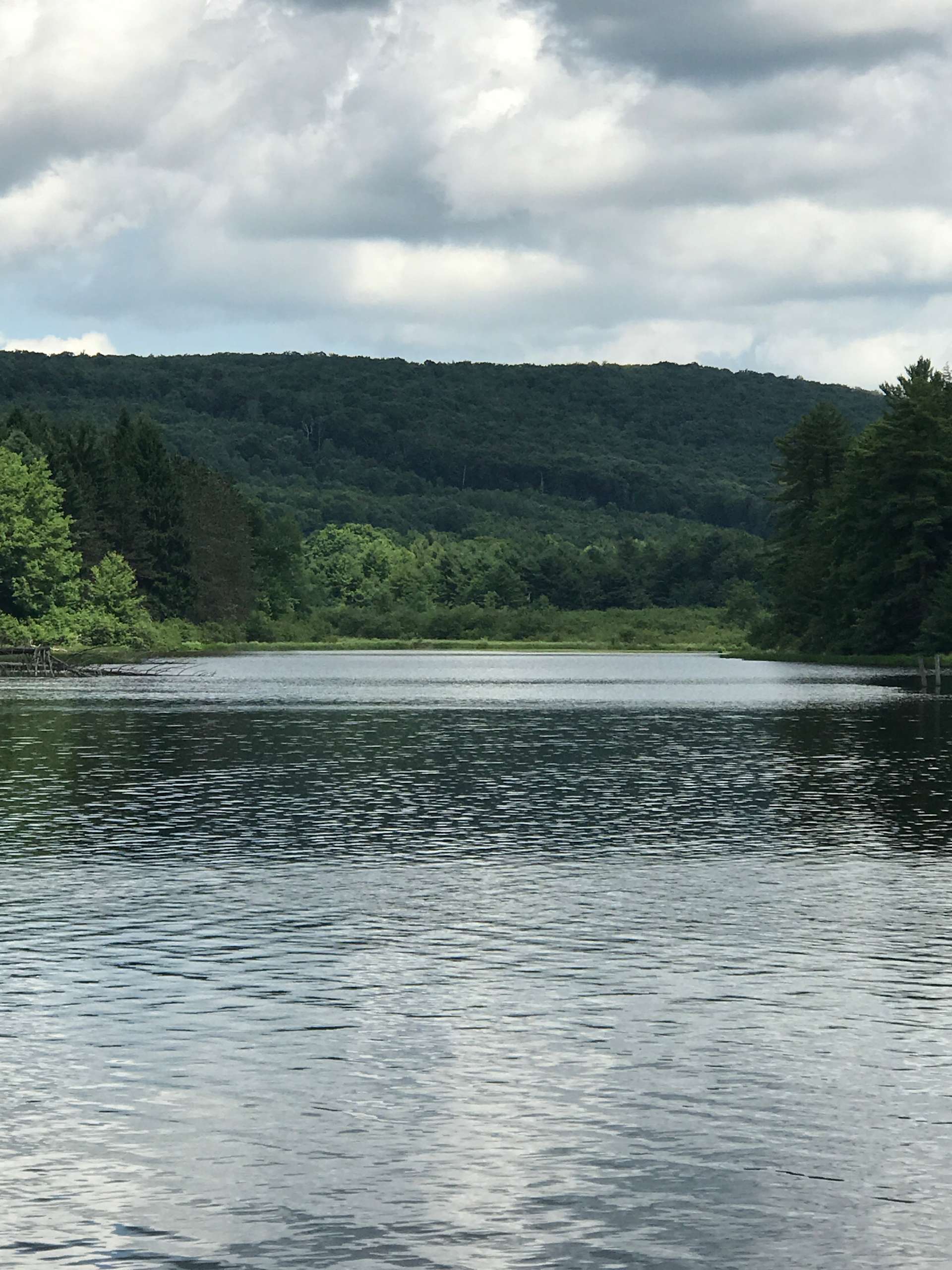 Sleepy Hollow Campground - Hipcamp in Grantsville, Maryland