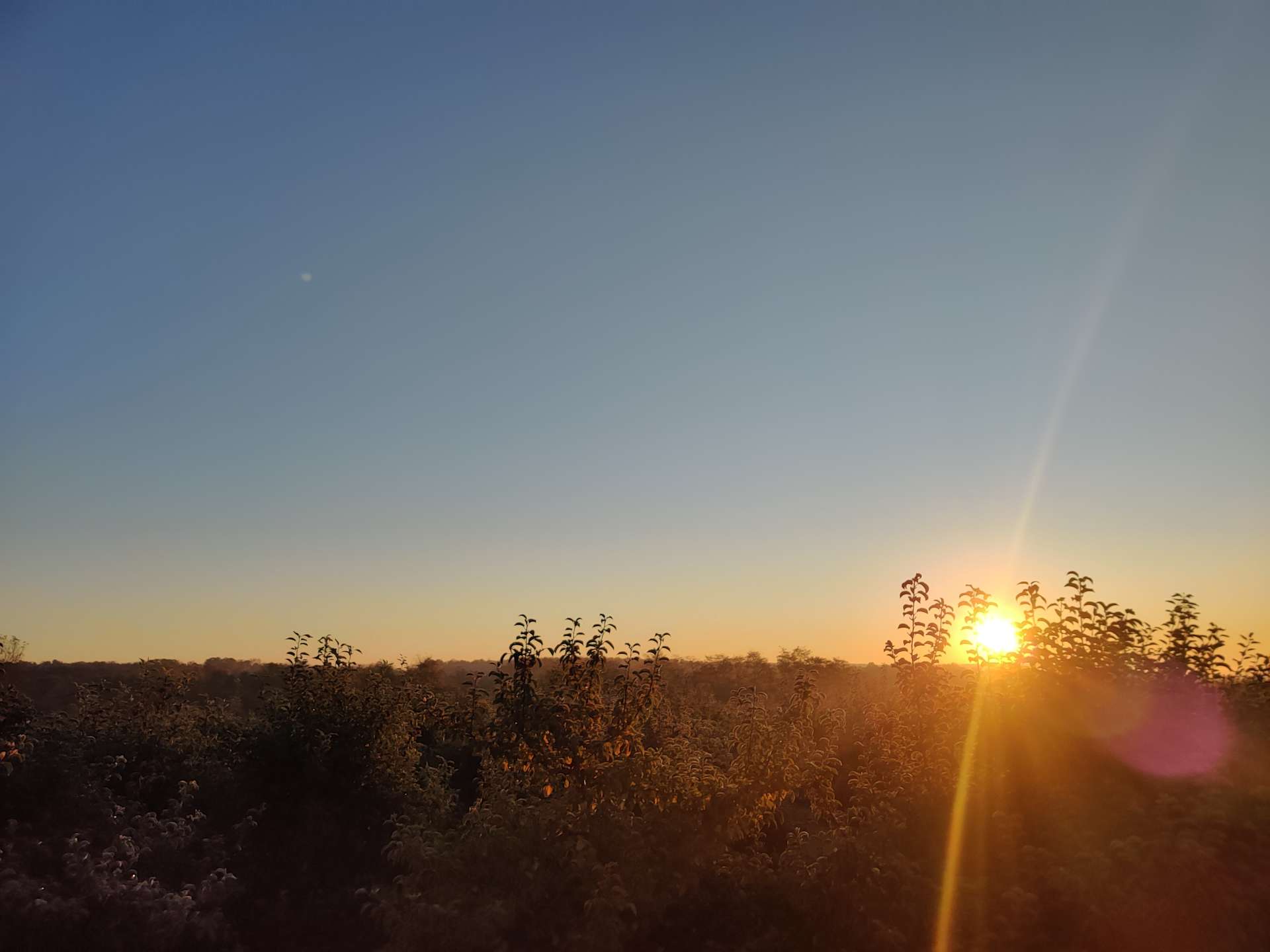 Grisamore Farms - Hipcamp in Genoa, New York