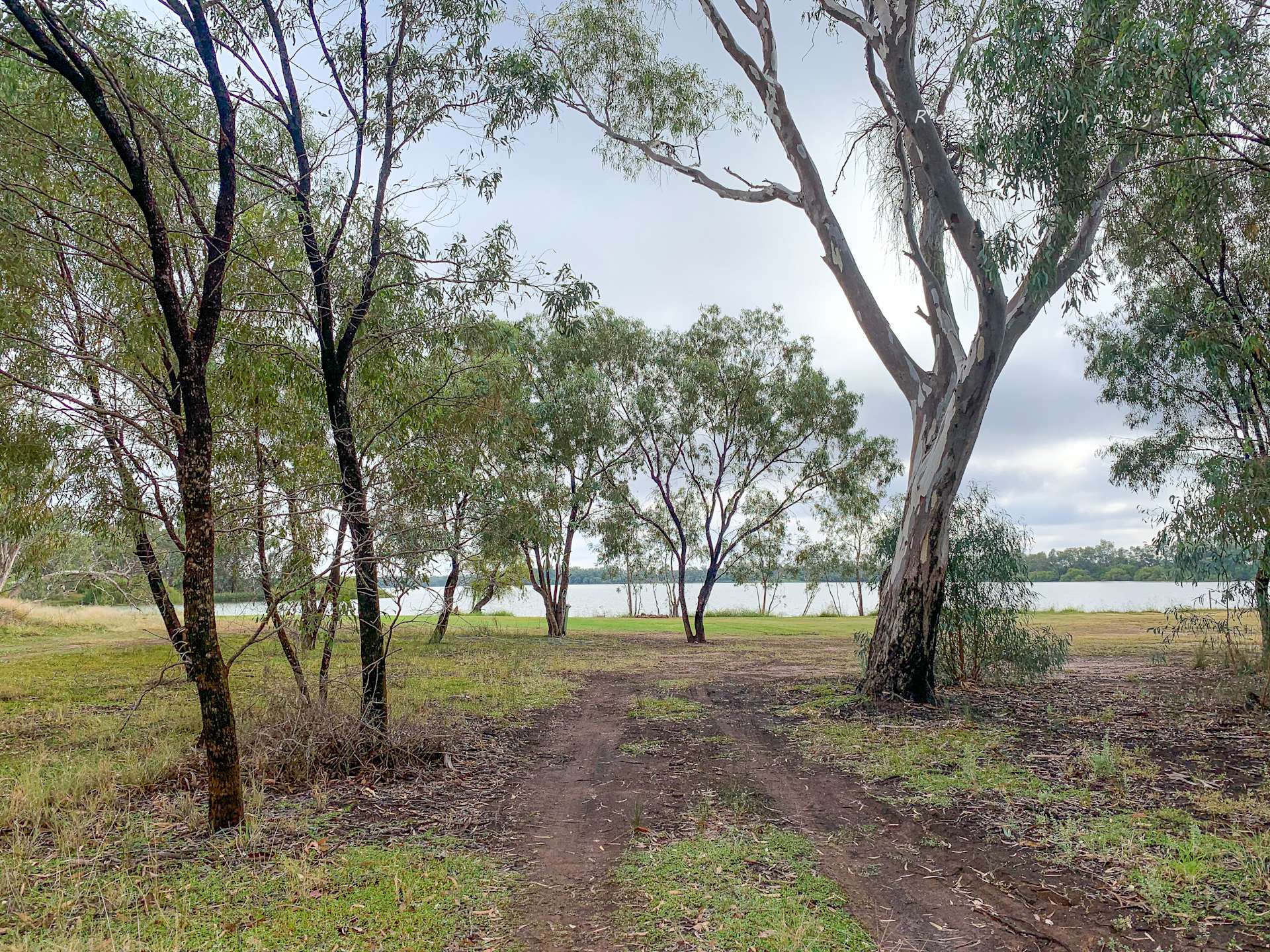 Curlew Camp - Birds & Fishing - Hipcamp in Lake Cargelligo, New South Wales