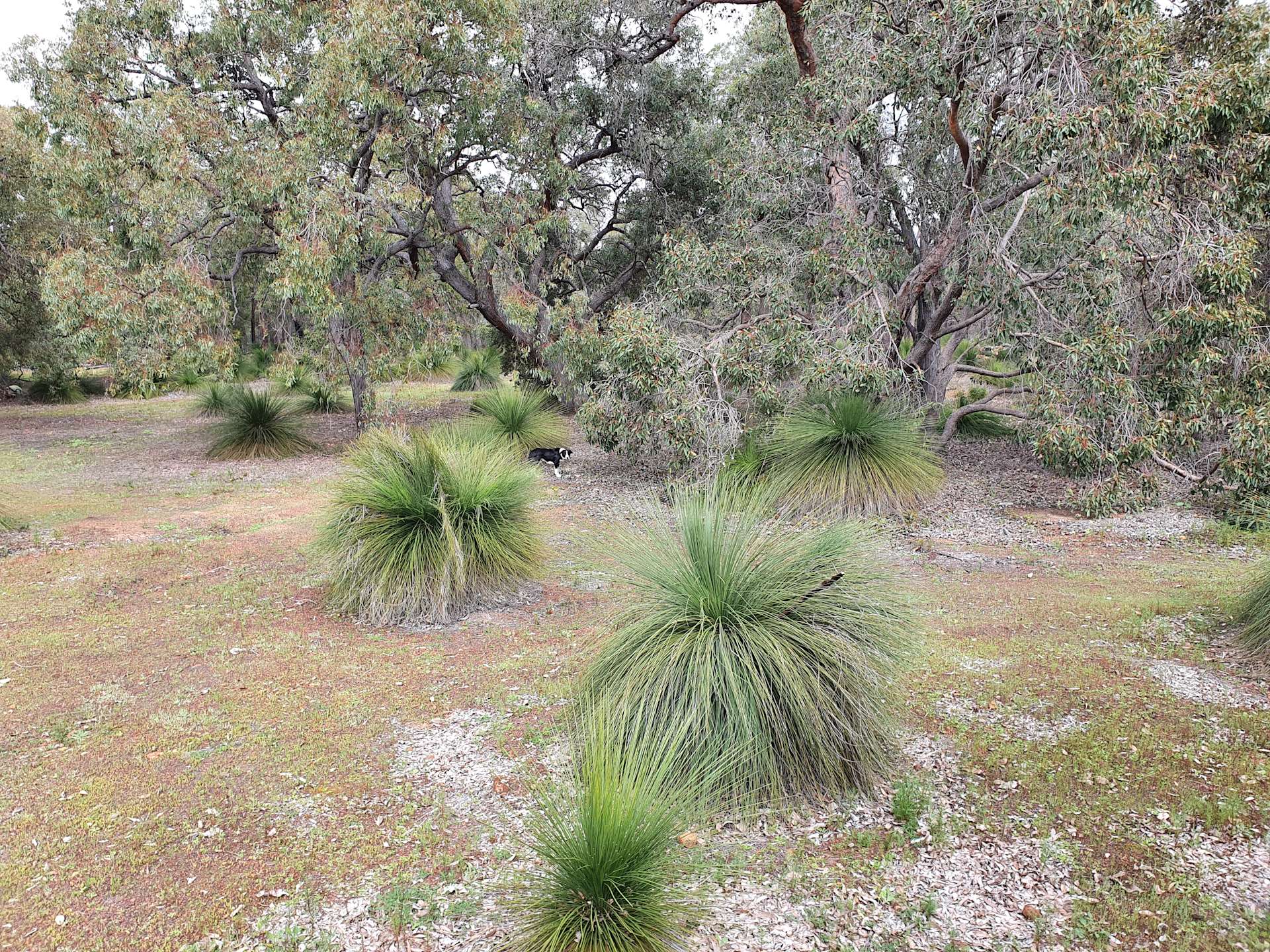 Chittering Acres - Hipcamp in Chittering, Western Australia