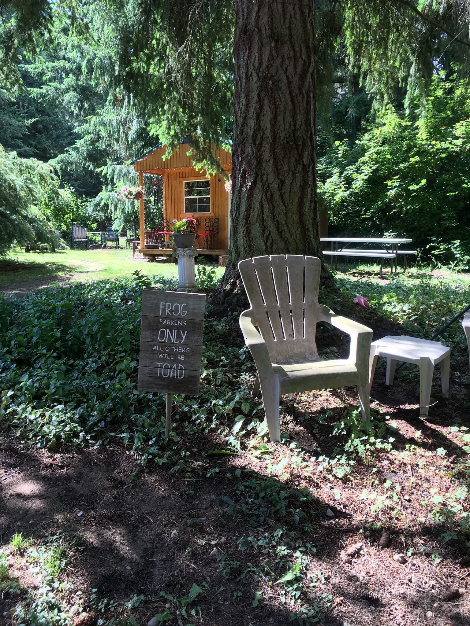 Camp with the animals at HHH Ranch - Hipcamp in Roy, Washington