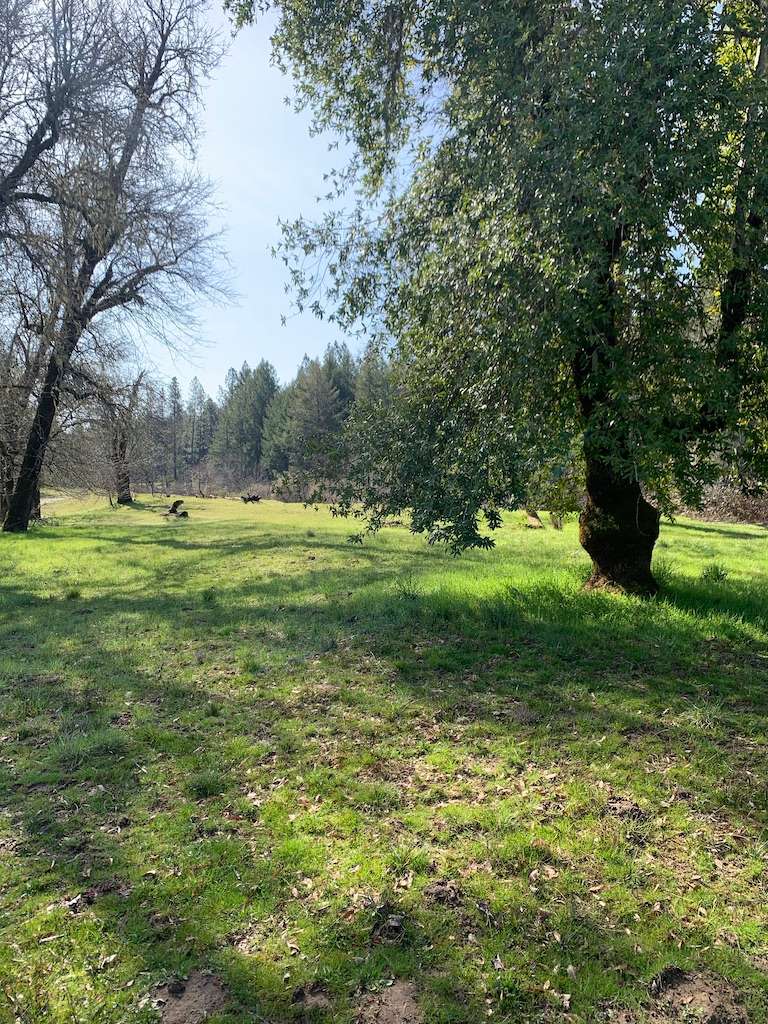 Black Oak Ranch - Hipcamp in Laytonville, California