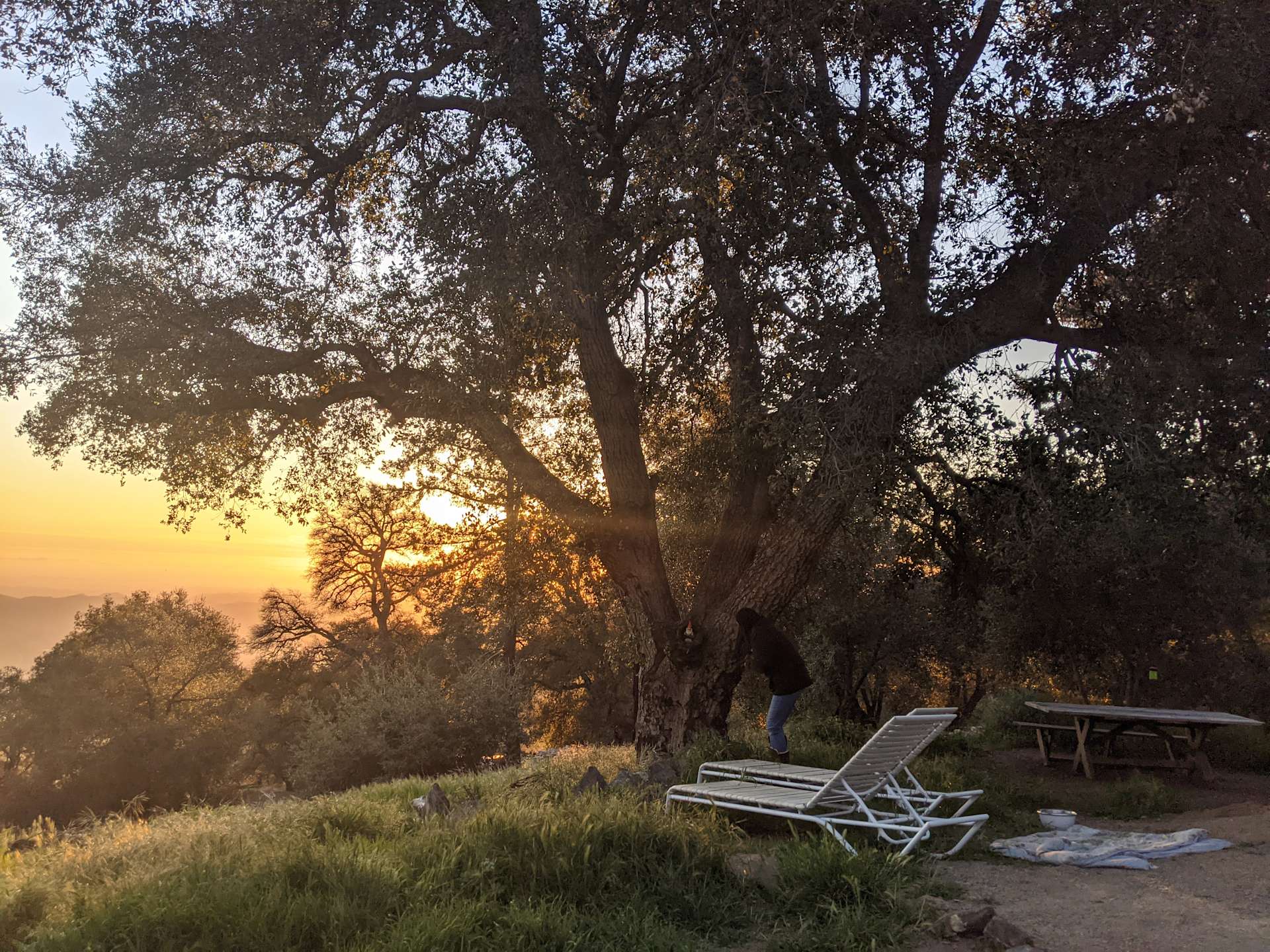 Magical Harrison Serenity Ranch - Hipcamp in Palomar Mountain, California