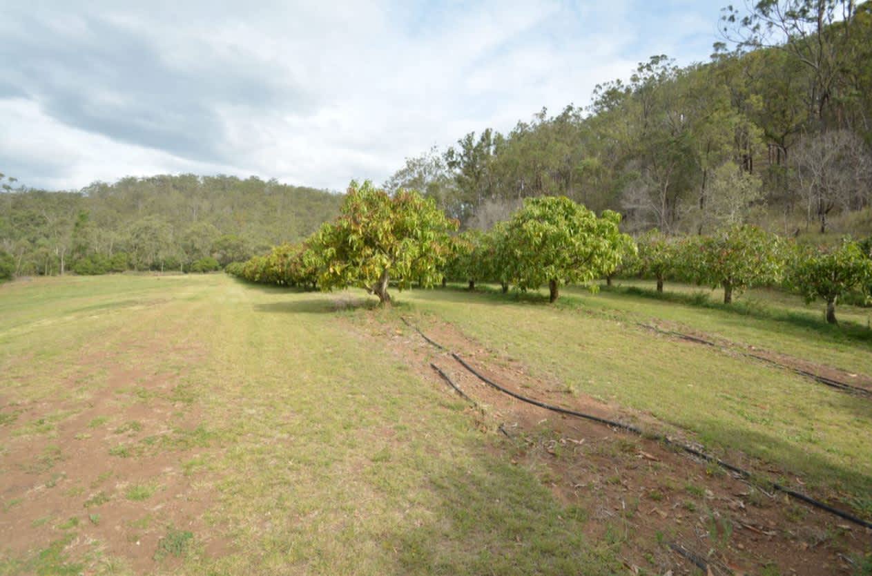 51 Private Acres - Hipcamp in Upper Flagstone, Queensland