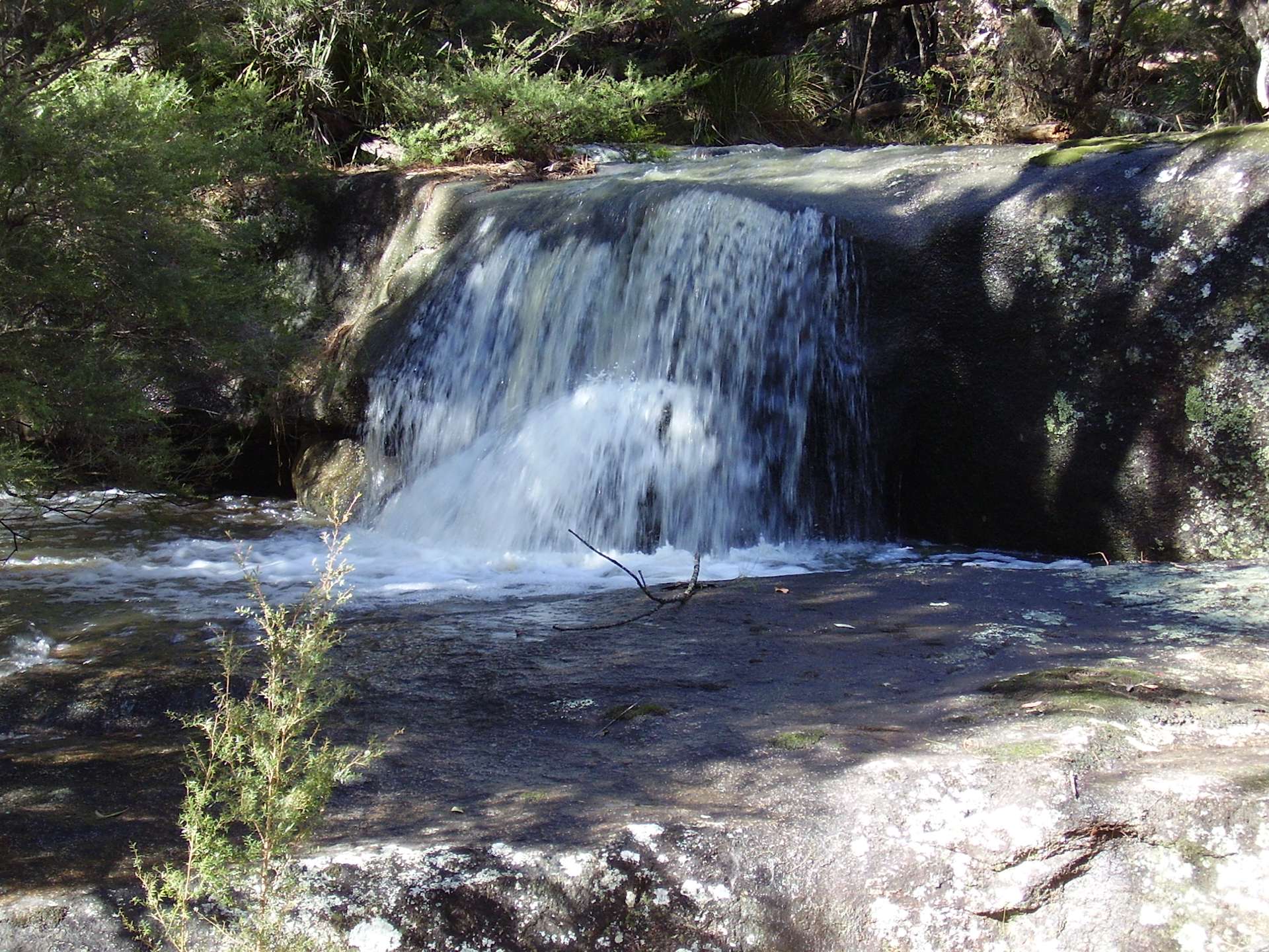 Splitters Swamp Creek Waterfall - Hipcamp in Bolivia, New South Wales