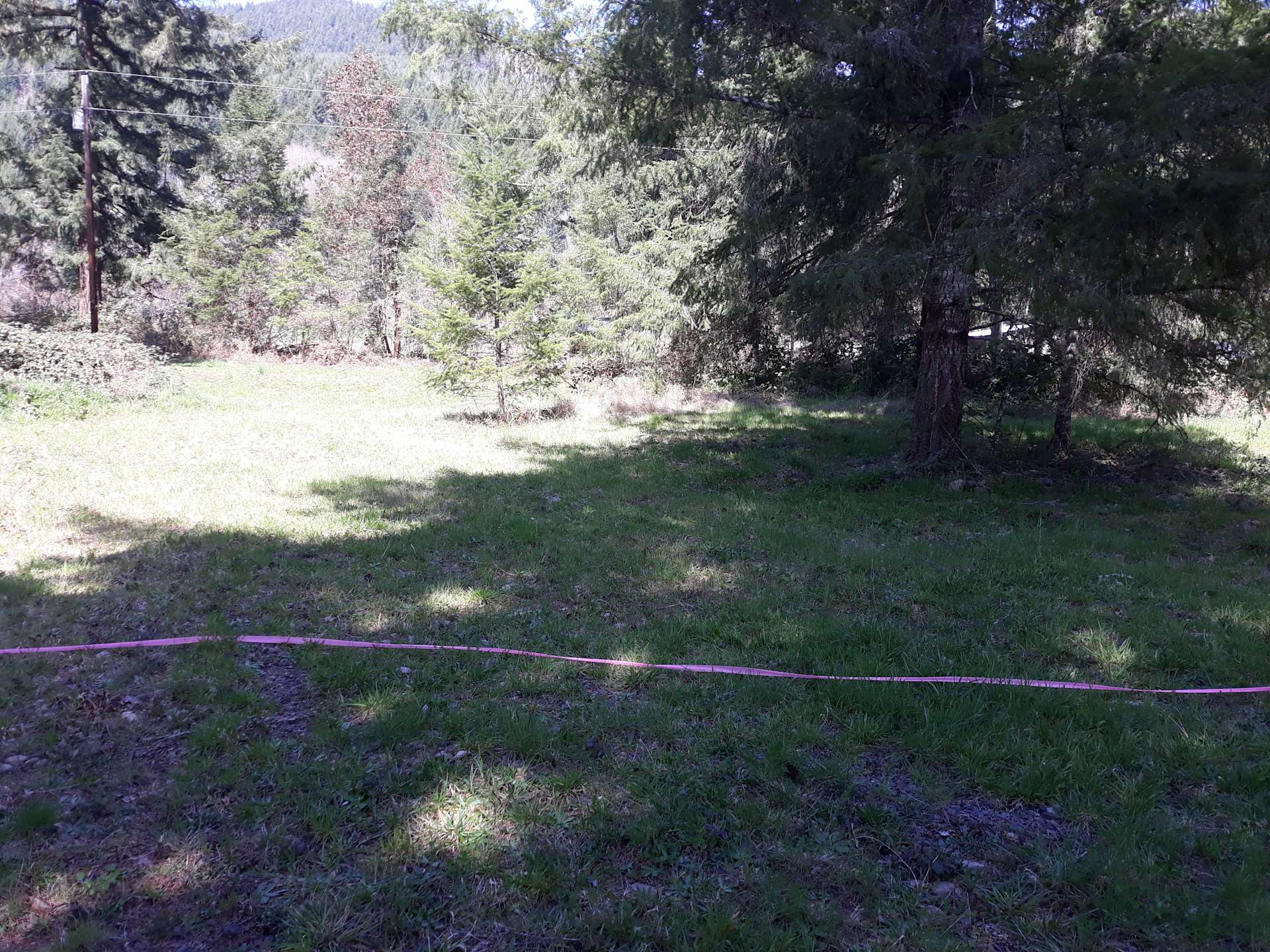 Peaceful Retreat - Hipcamp in Culp Creek, Oregon