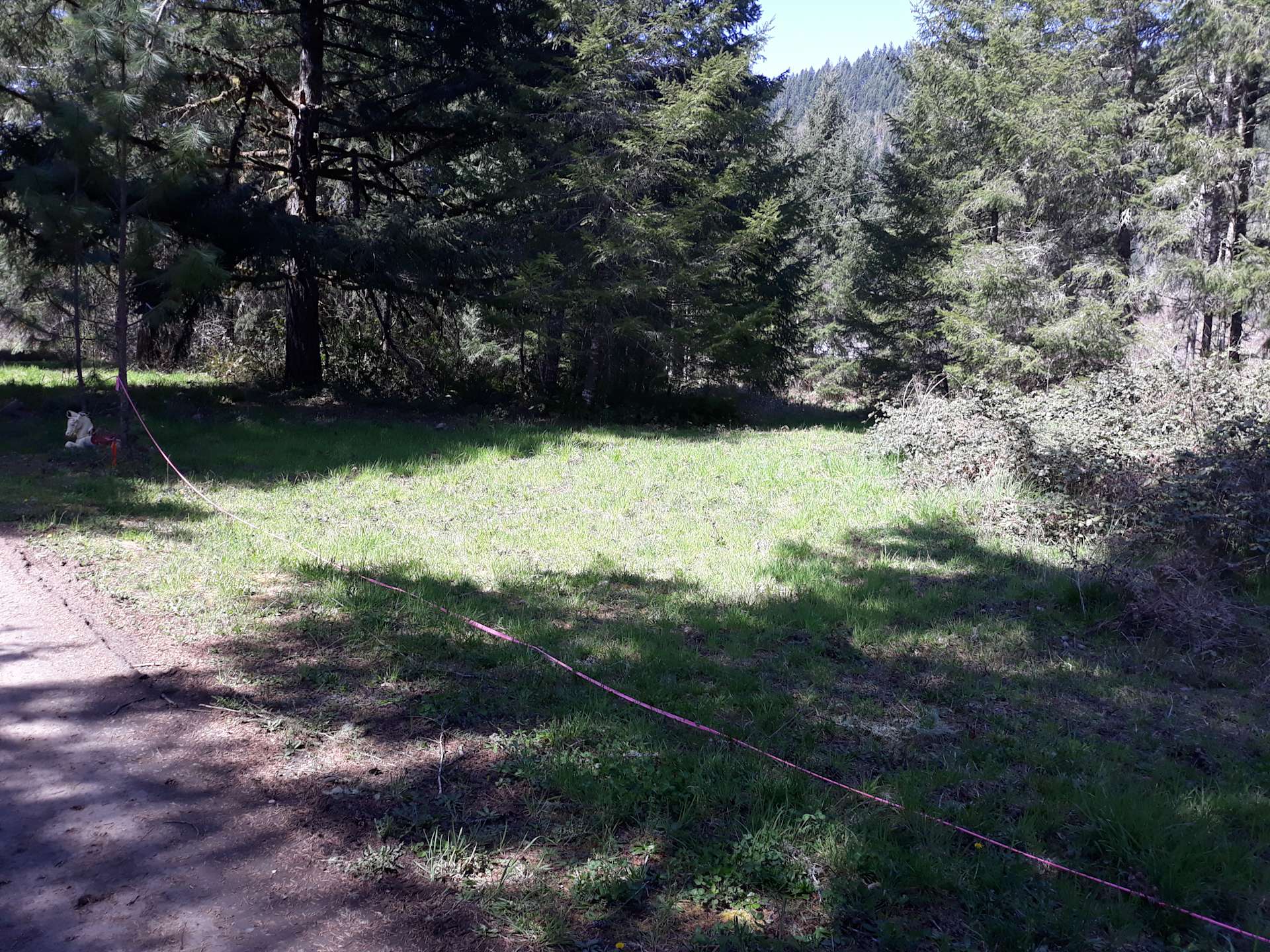 Peaceful Retreat - Hipcamp in Culp Creek, Oregon