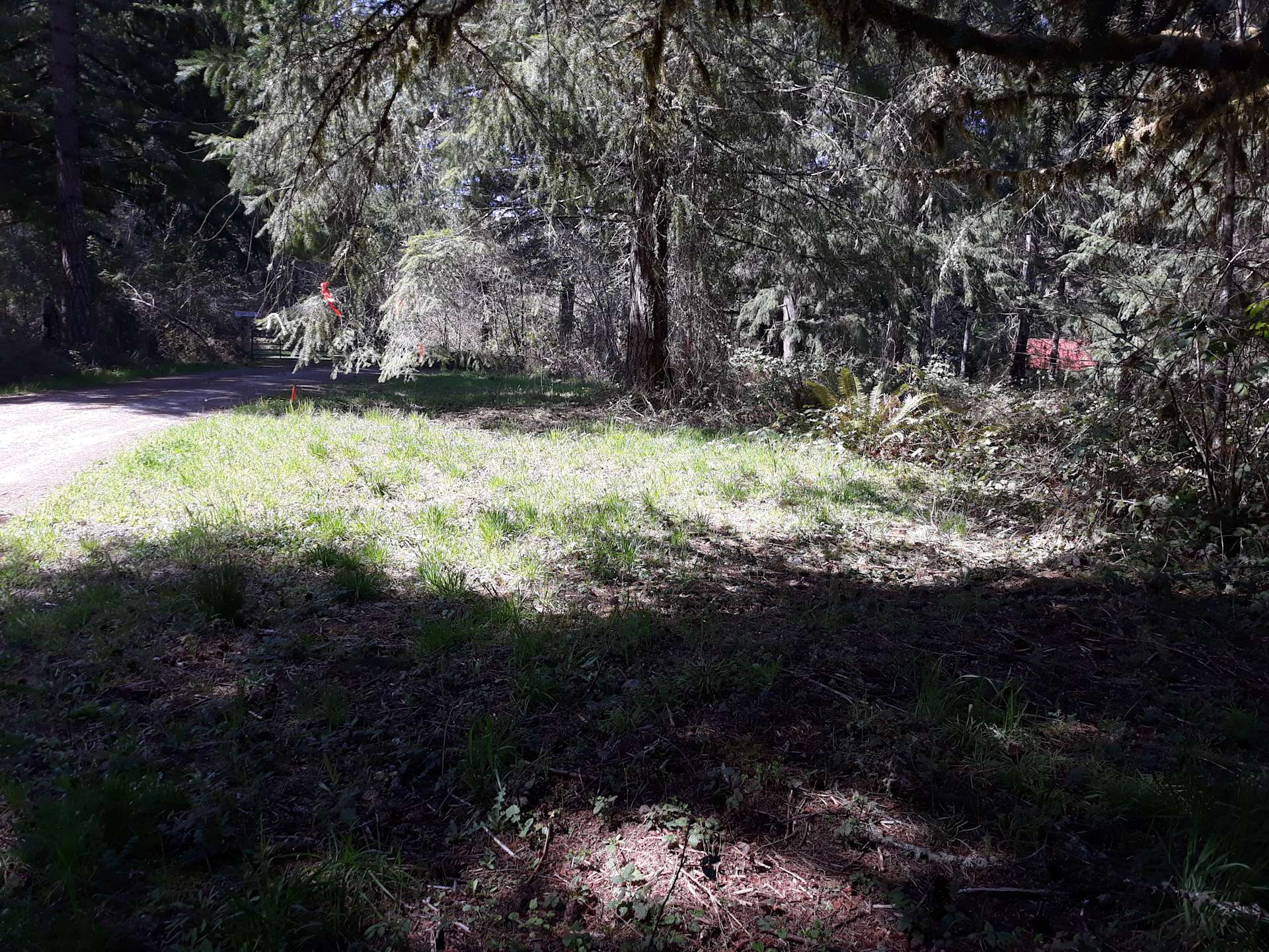 Peaceful Retreat - Hipcamp in Culp Creek, Oregon