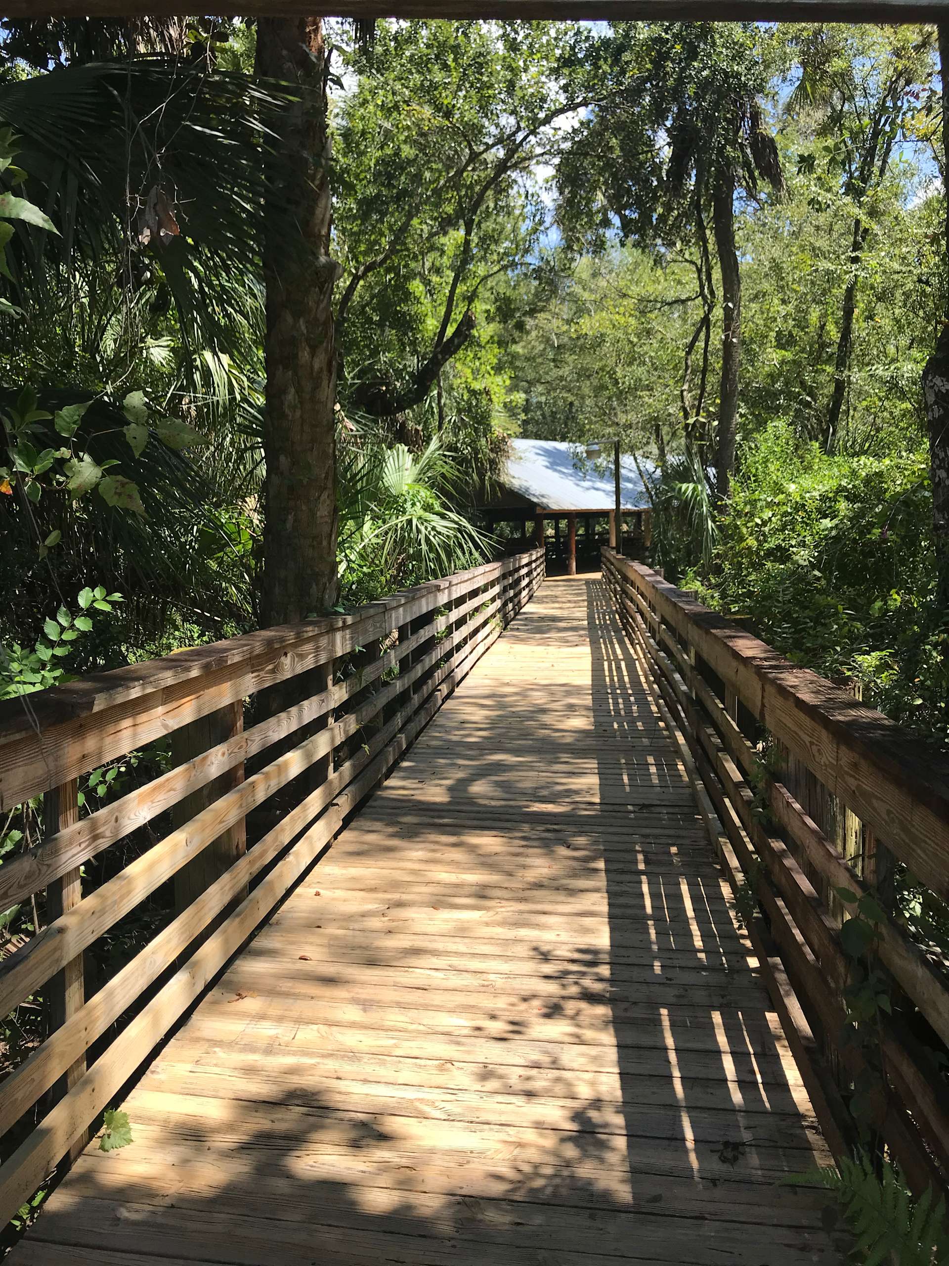 Cotee River Bend - Hipcamp in New Port Richey, Florida