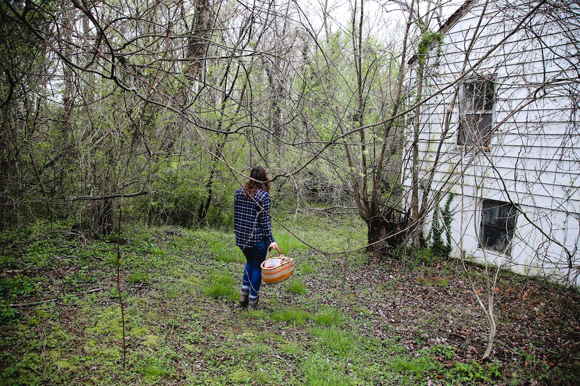 Turtle Campground Tent Camping - Hipcamp in Hurt, Virginia