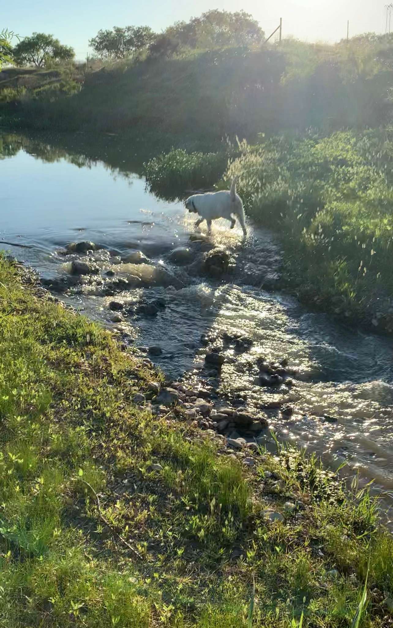 Jacoby's Ranch - Hipcamp in Melvin, Texas