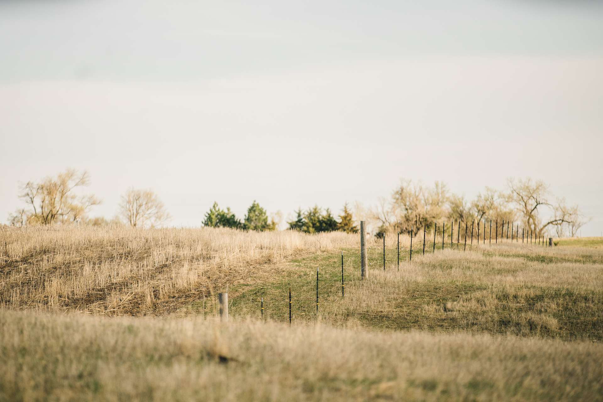 Andersen's Rustic Farm Paradise - Hipcamp in Blue Hill, Nebraska