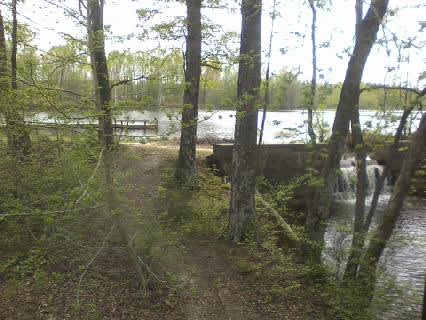 Spring fed lake with a beach - Hipcamp in Disputanta, Virginia