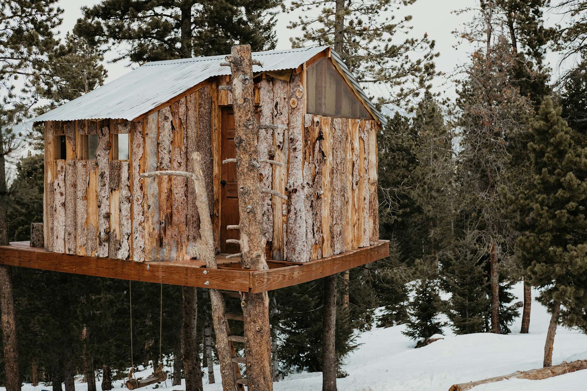 Gold Nugget Tree House - Hipcamp in , Colorado
