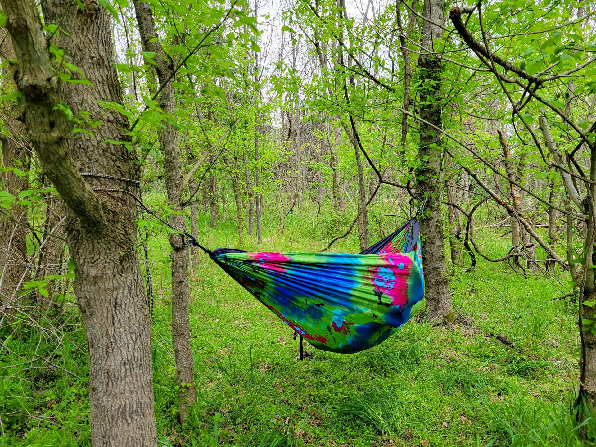 Wineberry Grove - Hipcamp in Strasburg, Virginia