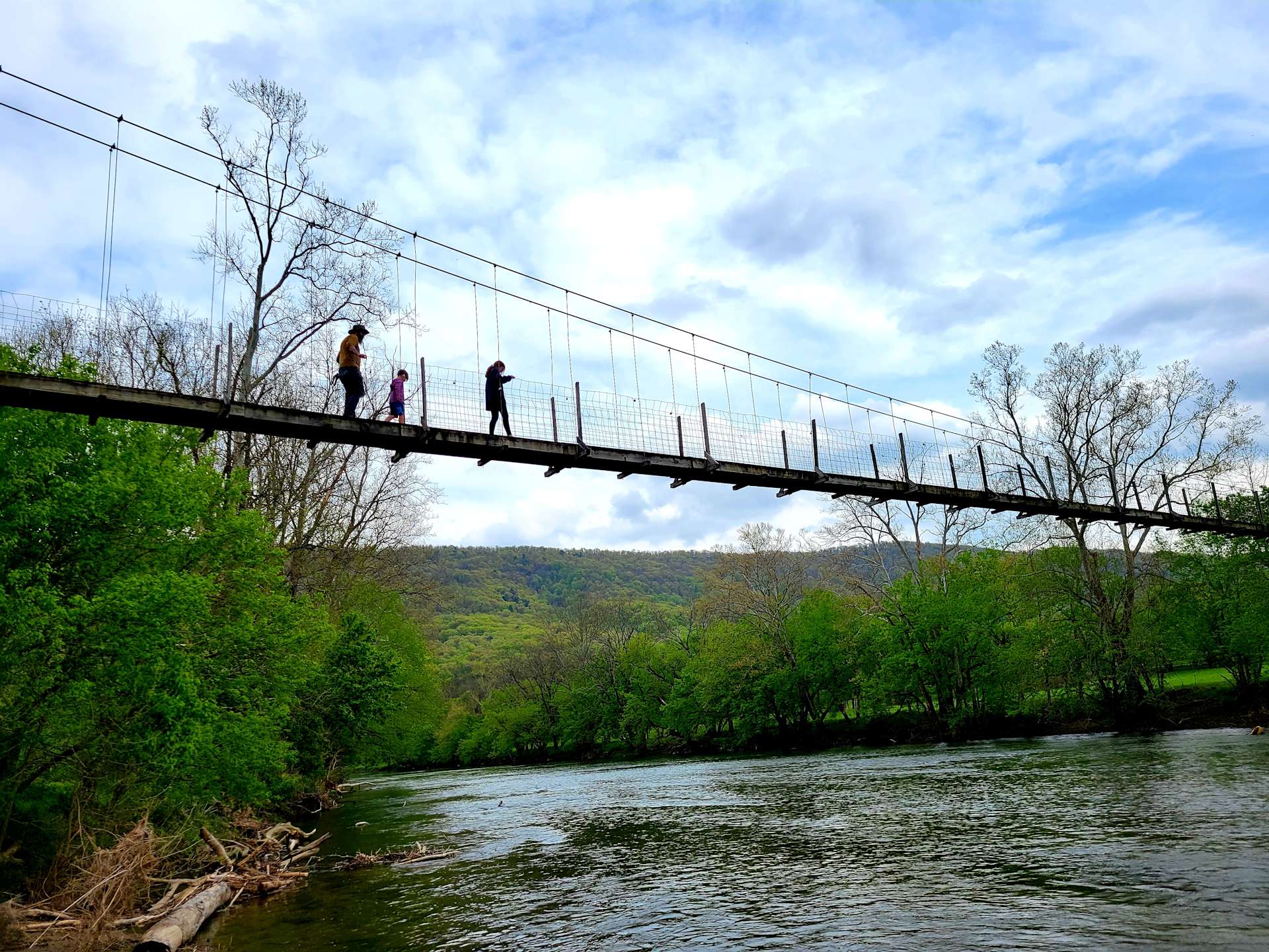 Wineberry Grove - Hipcamp in Strasburg, Virginia