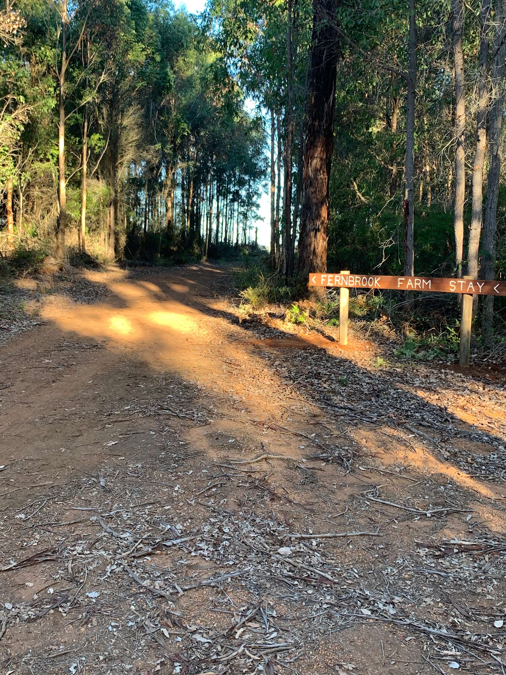 Fernbrook Farm Stay - Hipcamp in , Western Australia