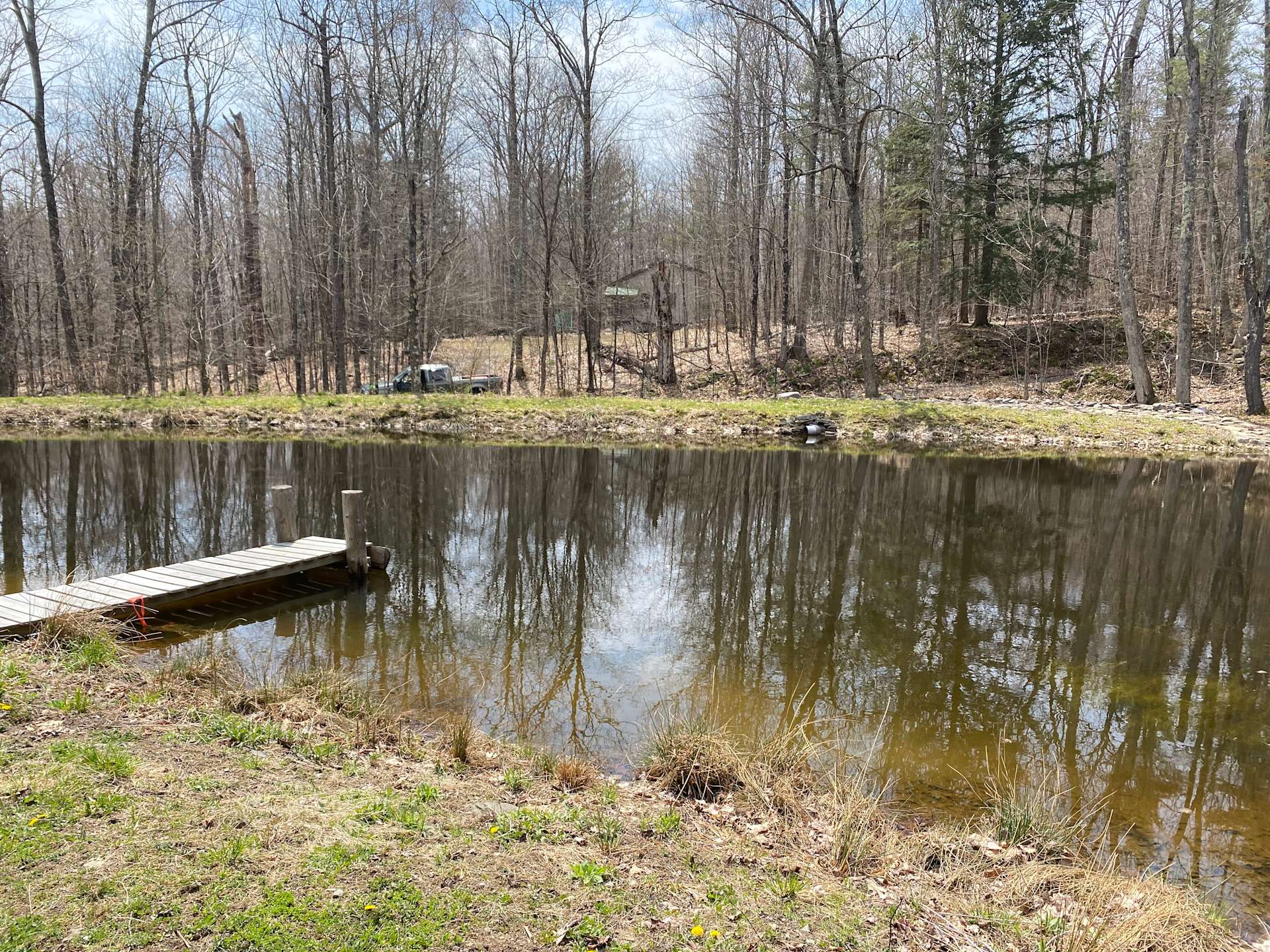 The Old Mill Pond - Hipcamp in North Blenheim, New York