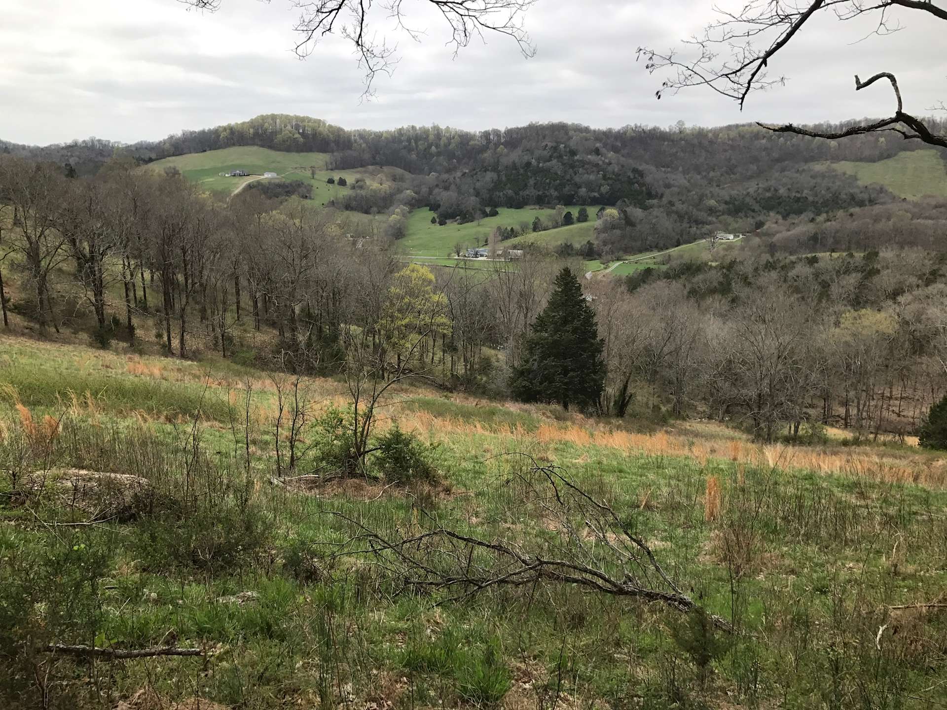 Wyatt W.’s Land - Hipcamp in Woodbury, Tennessee