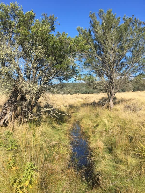 Buckland Campsites Tasmania - Hipcamp in Buckland, Tasmania
