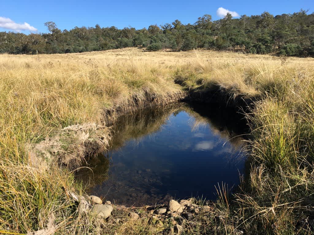 Buckland Campsites Tasmania - Hipcamp in Buckland, Tasmania
