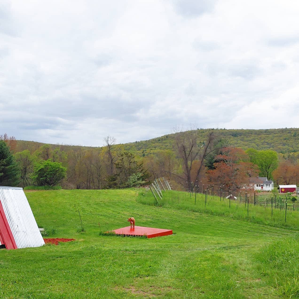 Black Rabbit Farm - Hipcamp in Southwick, Massachusetts