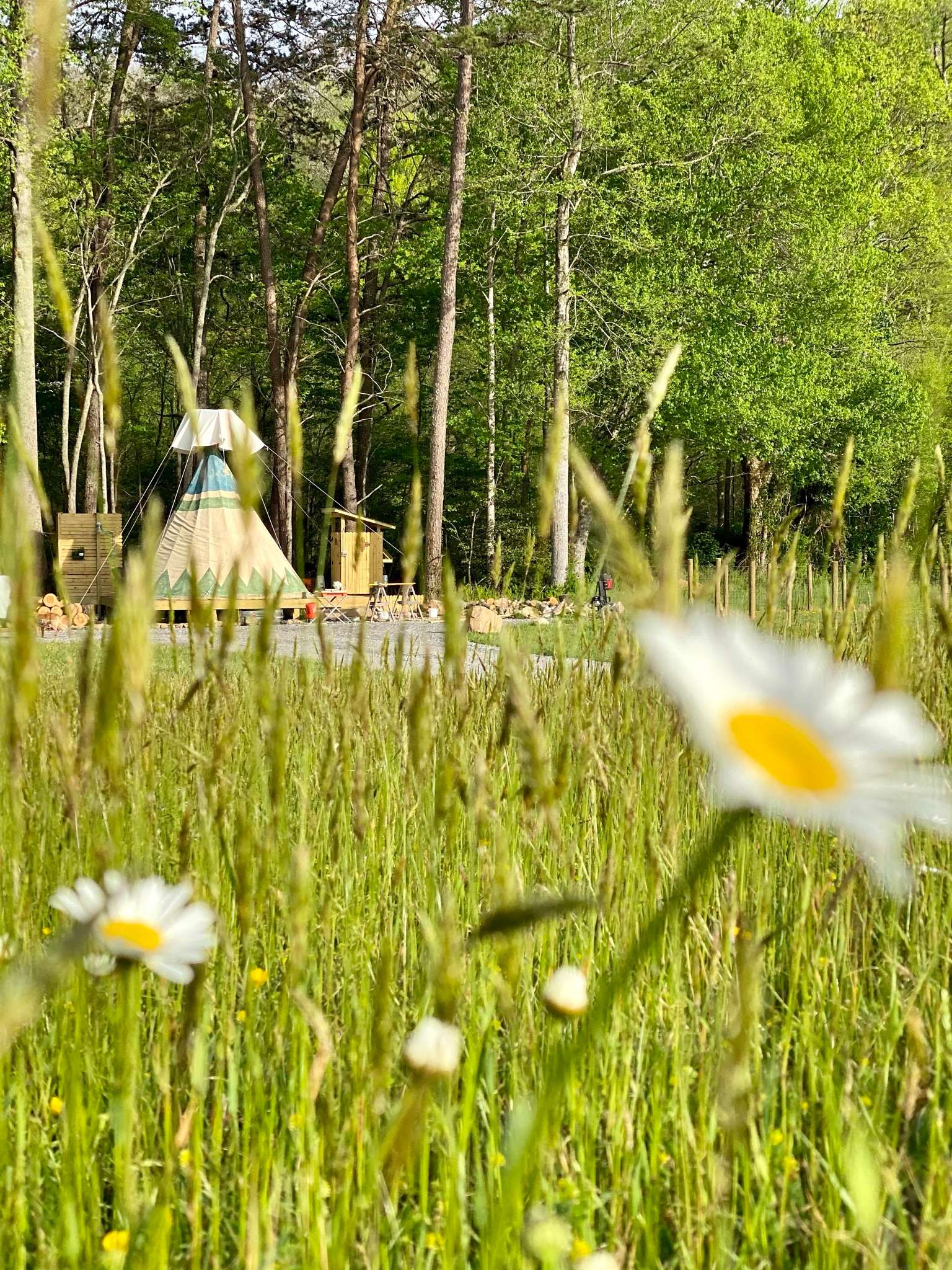 Big Chief Tipi - Hipcamp in Morganton, Georgia