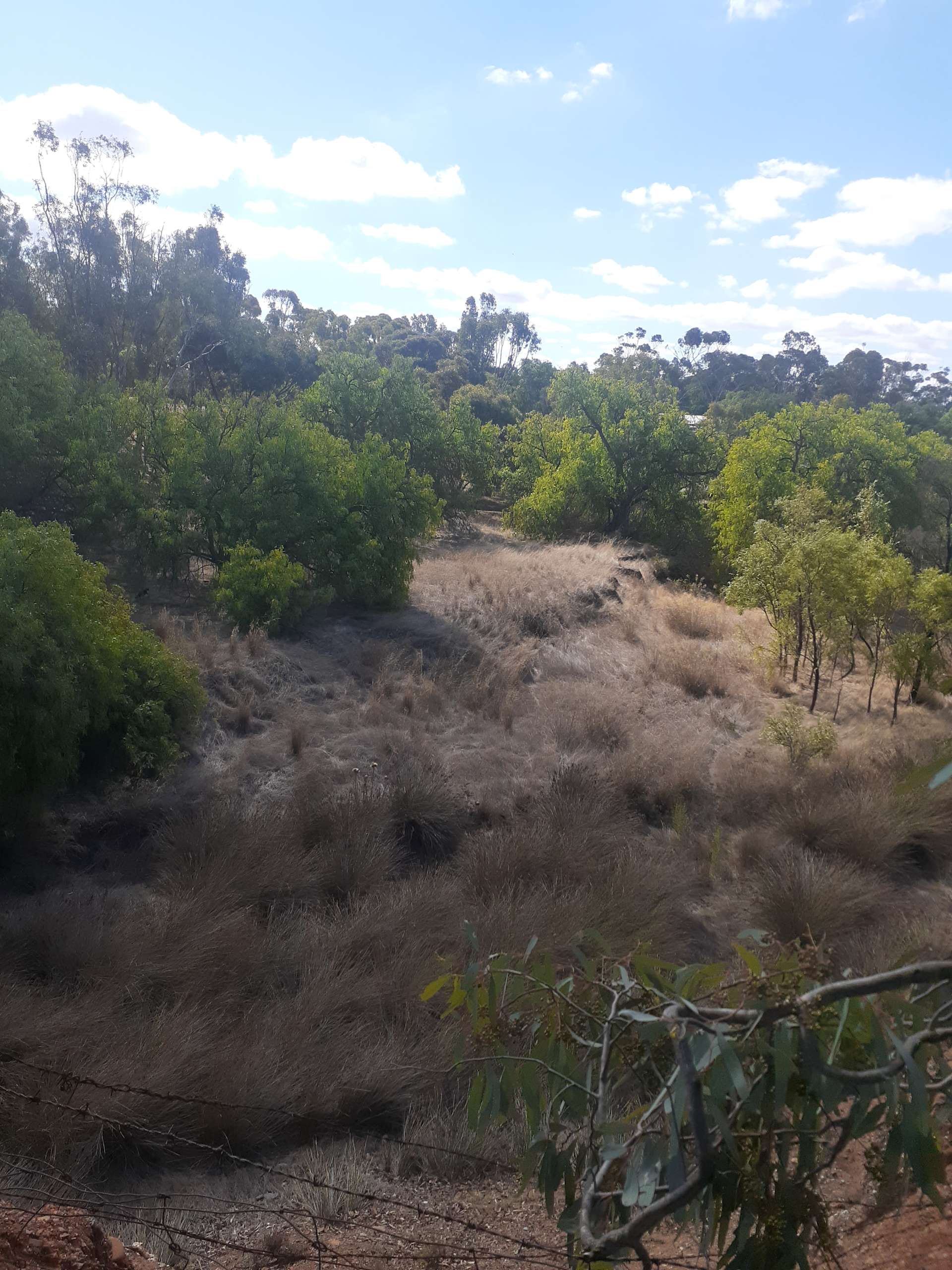 Historic Dutton Camp - Hipcamp in Dutton, South Australia