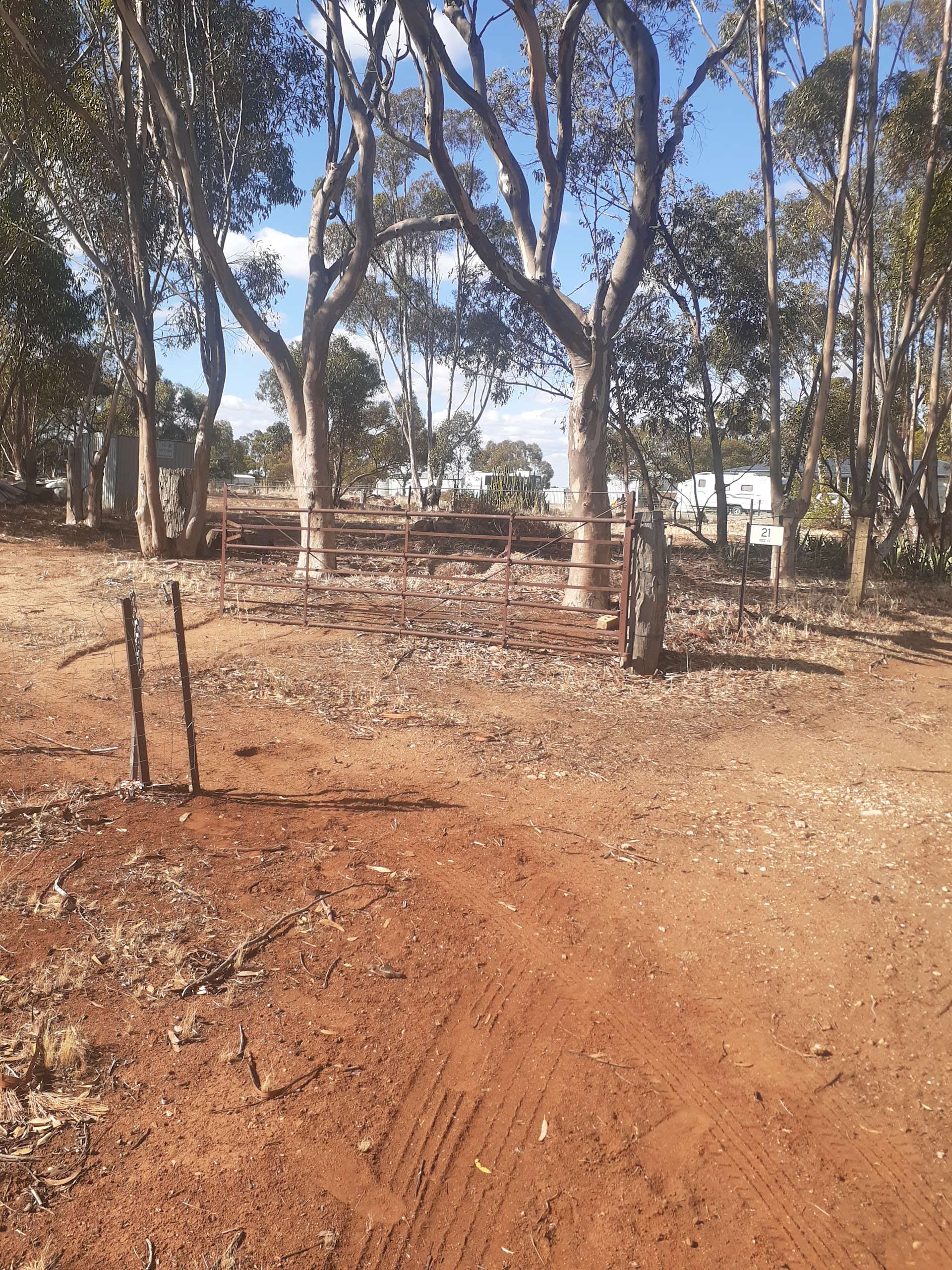 Historic Dutton Camp - Hipcamp in Dutton, South Australia