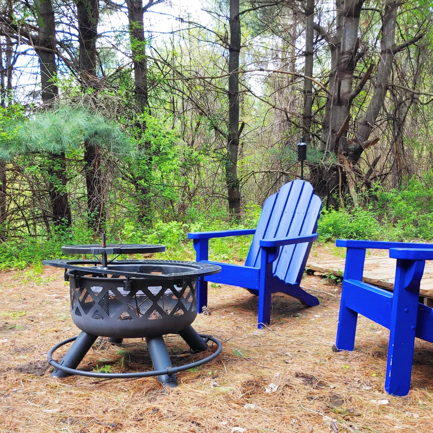 Black Rabbit Farm - Hipcamp in Southwick, Massachusetts