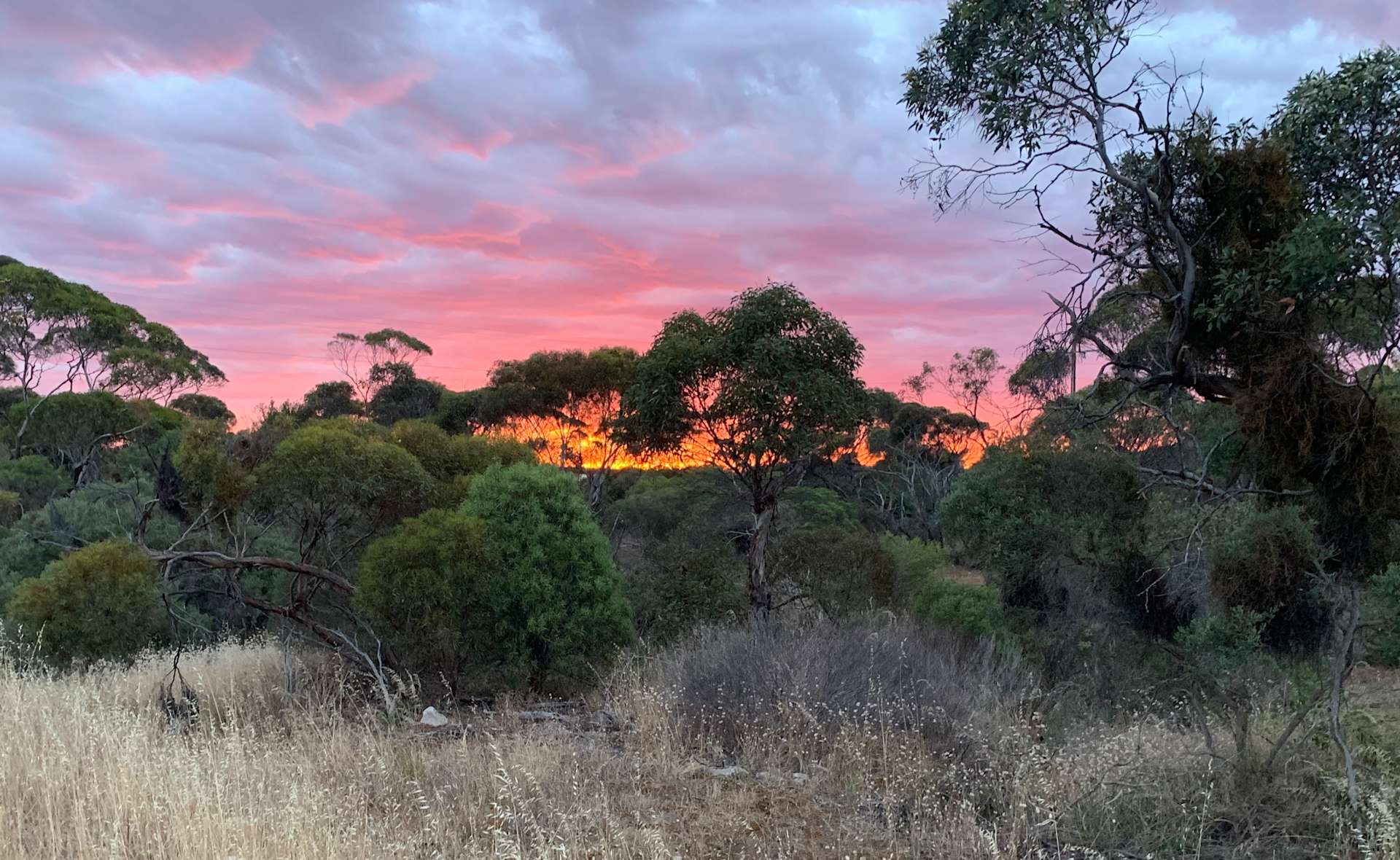 Mallee Lands - Hipcamp in Peake, South Australia