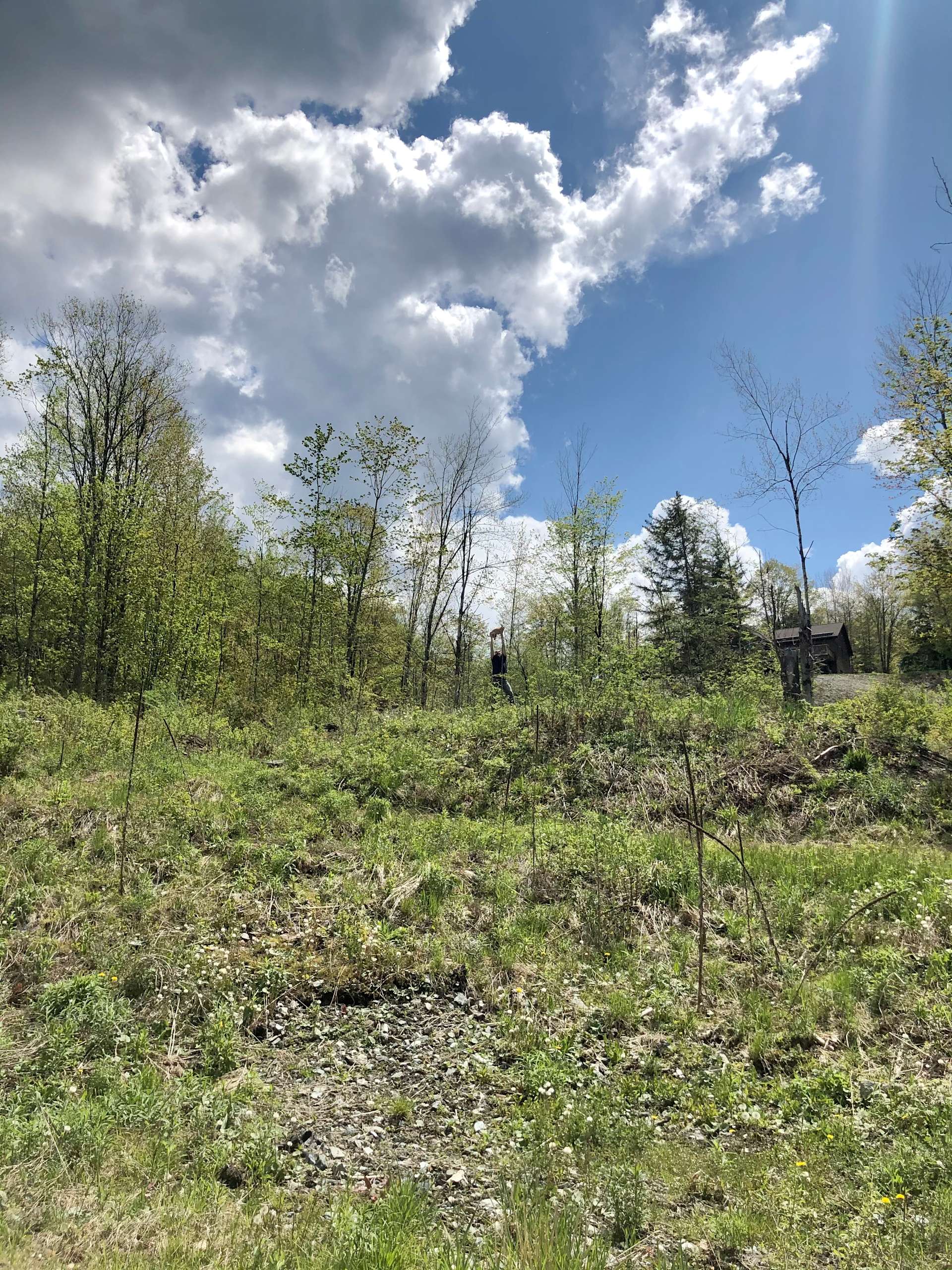 Sky Acres Stowe - Hipcamp in Stowe, Vermont