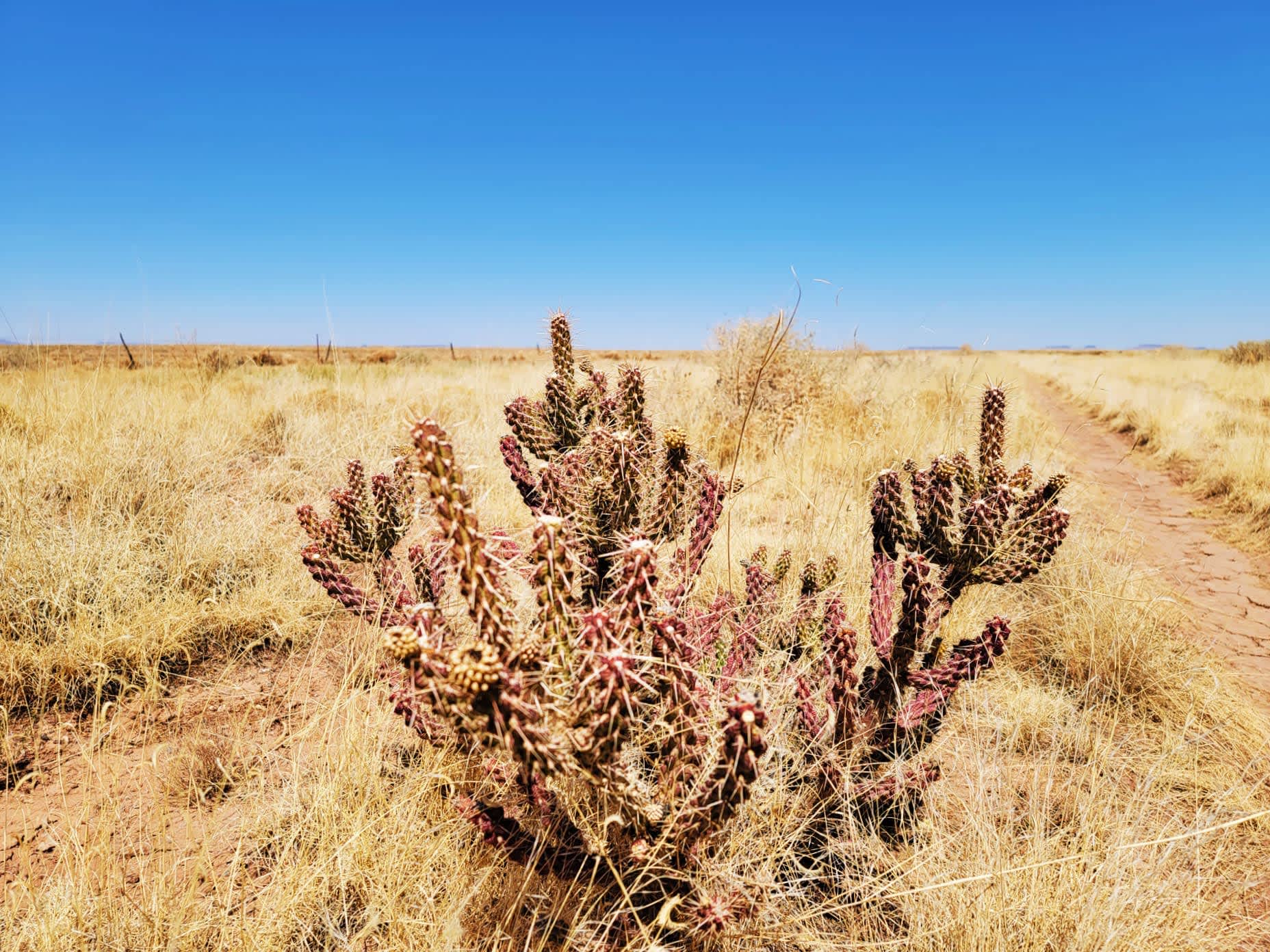 Sunset Valley - Hipcamp in Sun Valley, Arizona