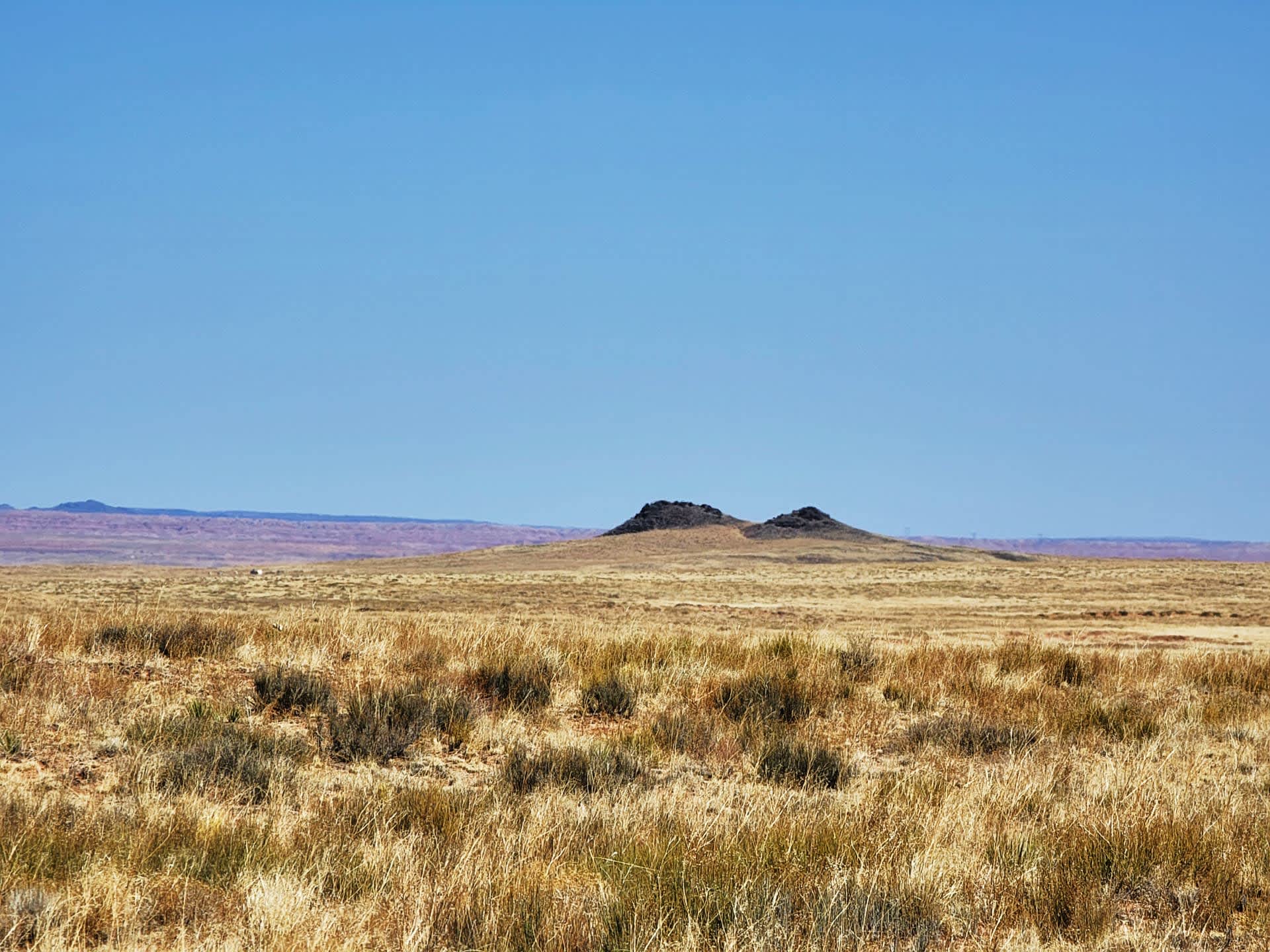 Sunset Valley - Hipcamp in Sun Valley, Arizona