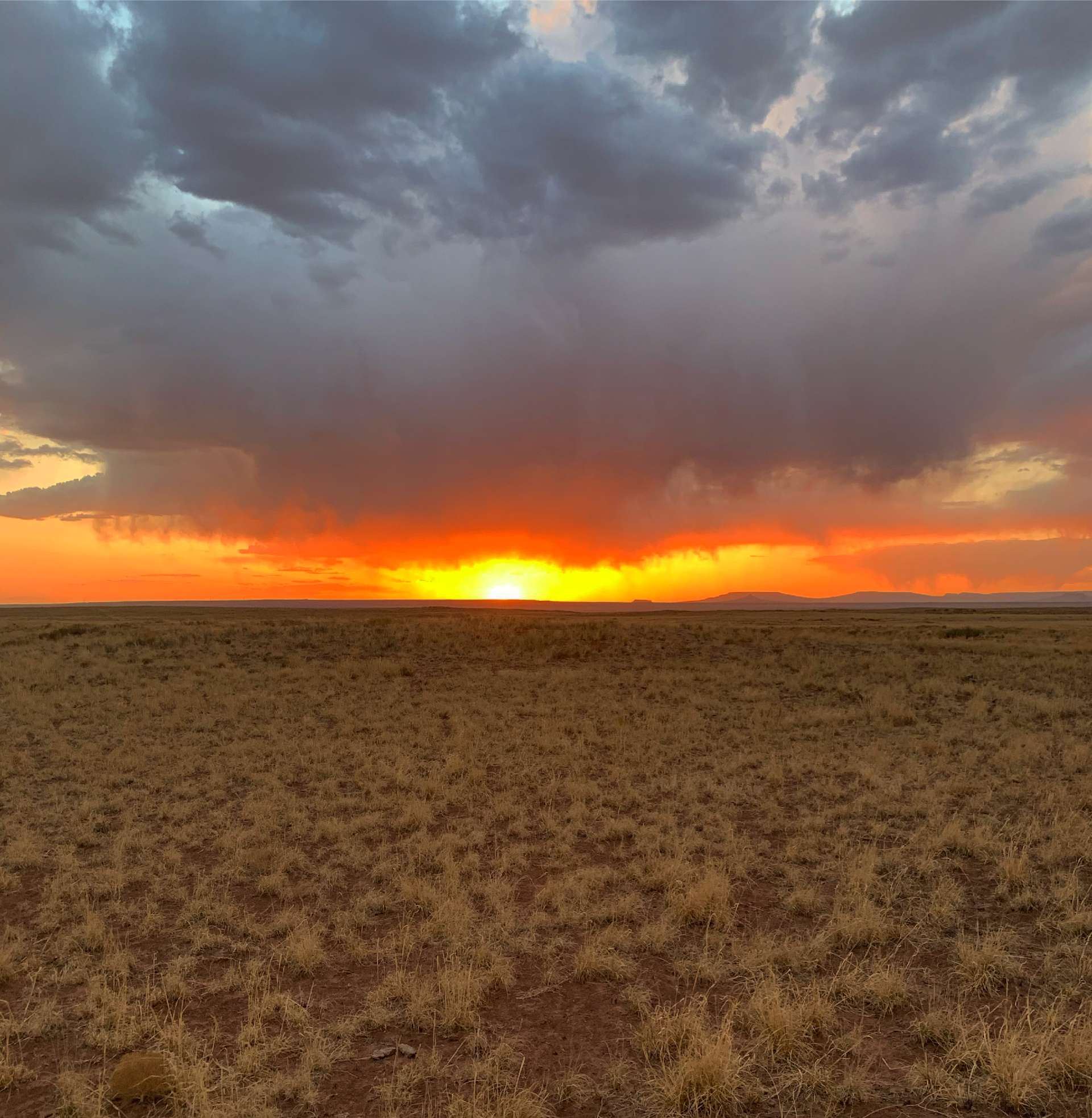 Sunset Valley - Hipcamp in Sun Valley, Arizona