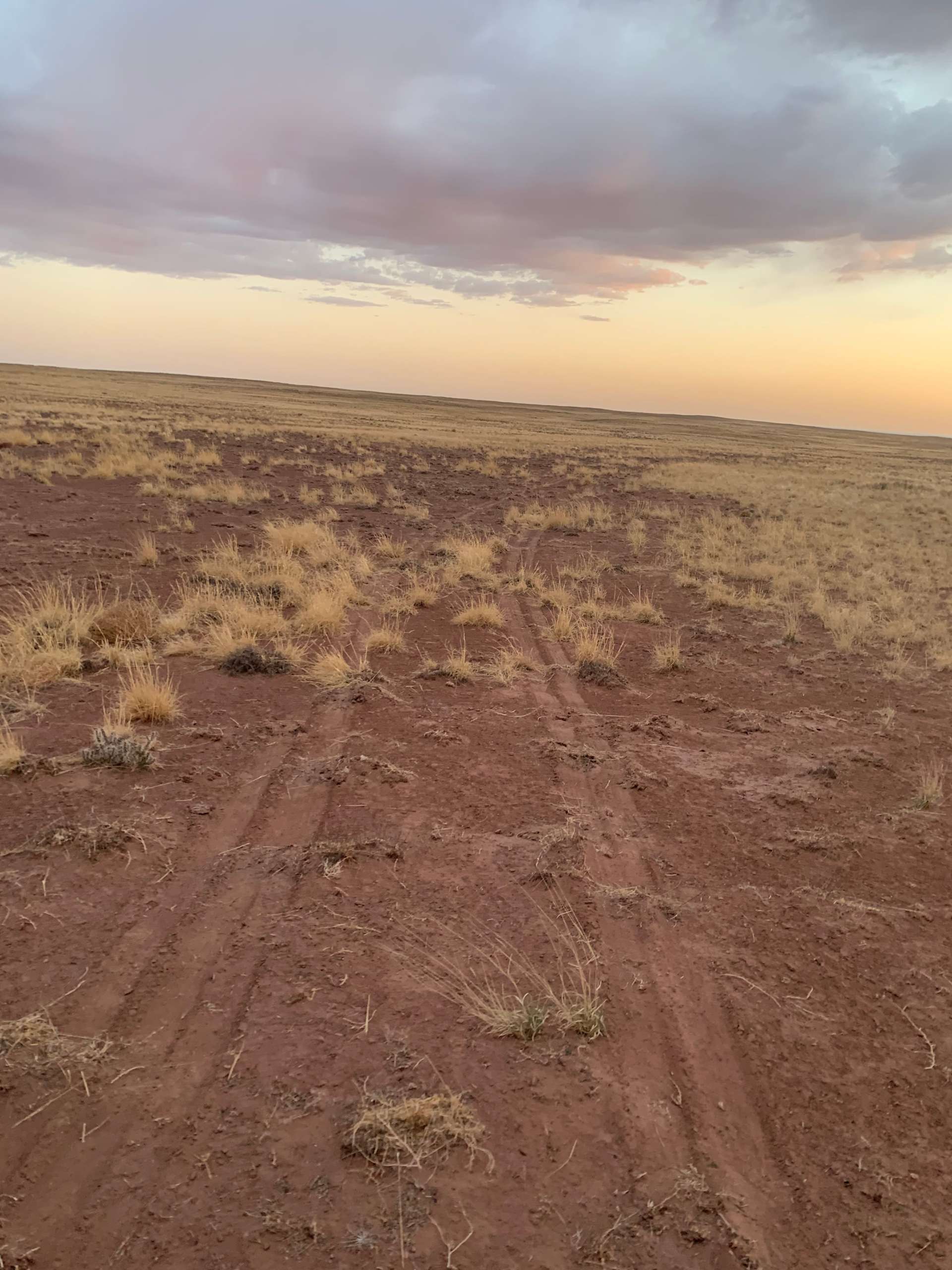 Sunset Valley - Hipcamp in Sun Valley, Arizona