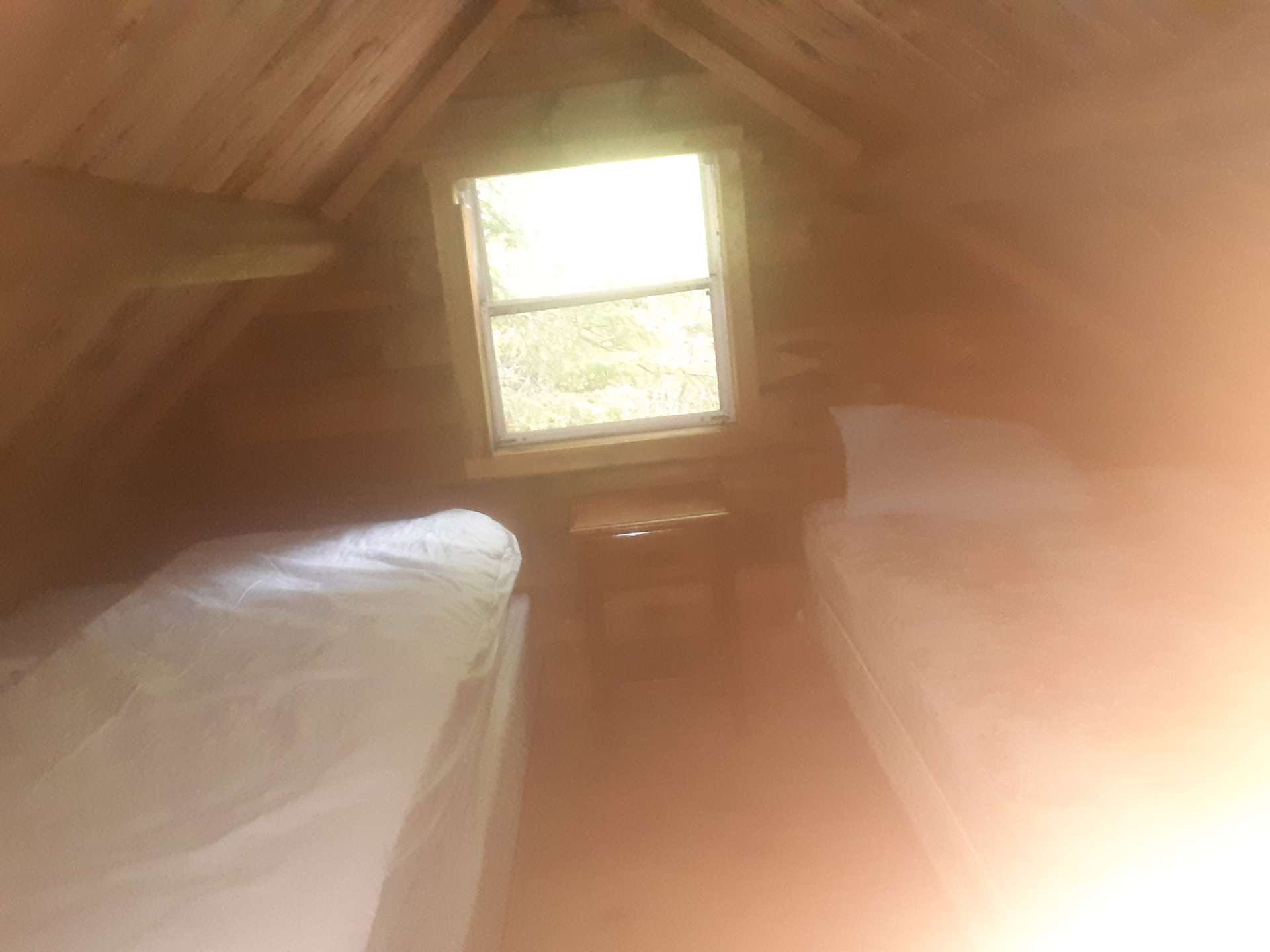 100 Mile Wilderness Cabin - Hipcamp in , Maine