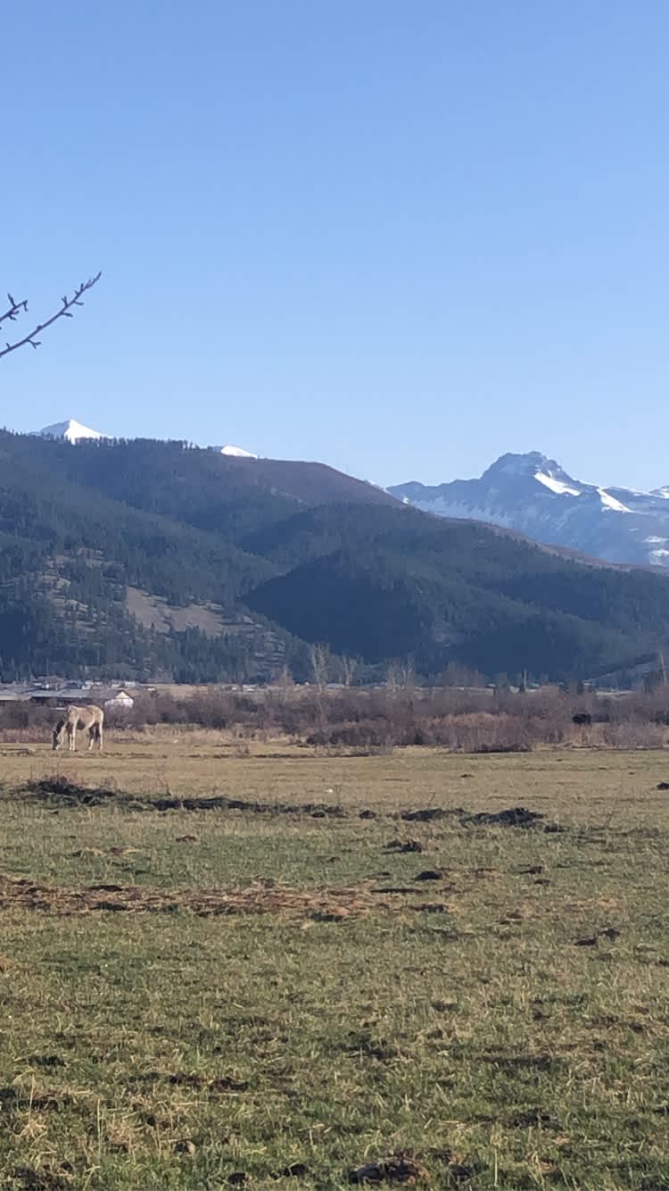 Gray Wolf Peak Campground - Hipcamp in Arlee, Montana