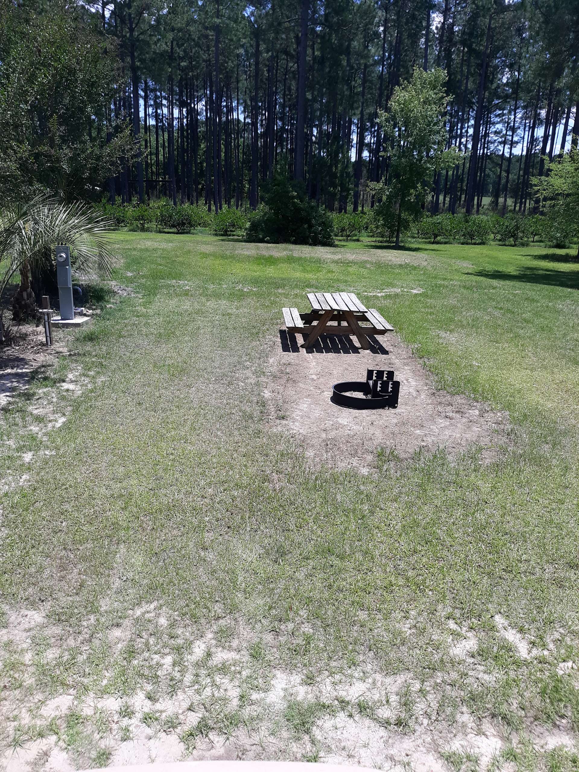 The Fruit Factory RV Site - Hipcamp in Pavo, Georgia