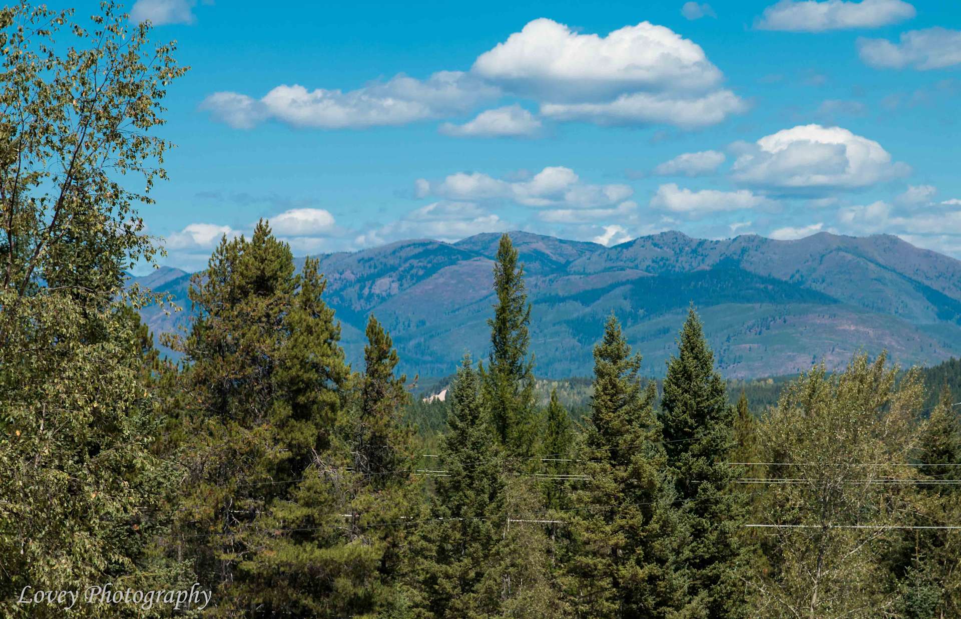 Timber Wolf Resort - Hipcamp in Hungry Horse, Montana
