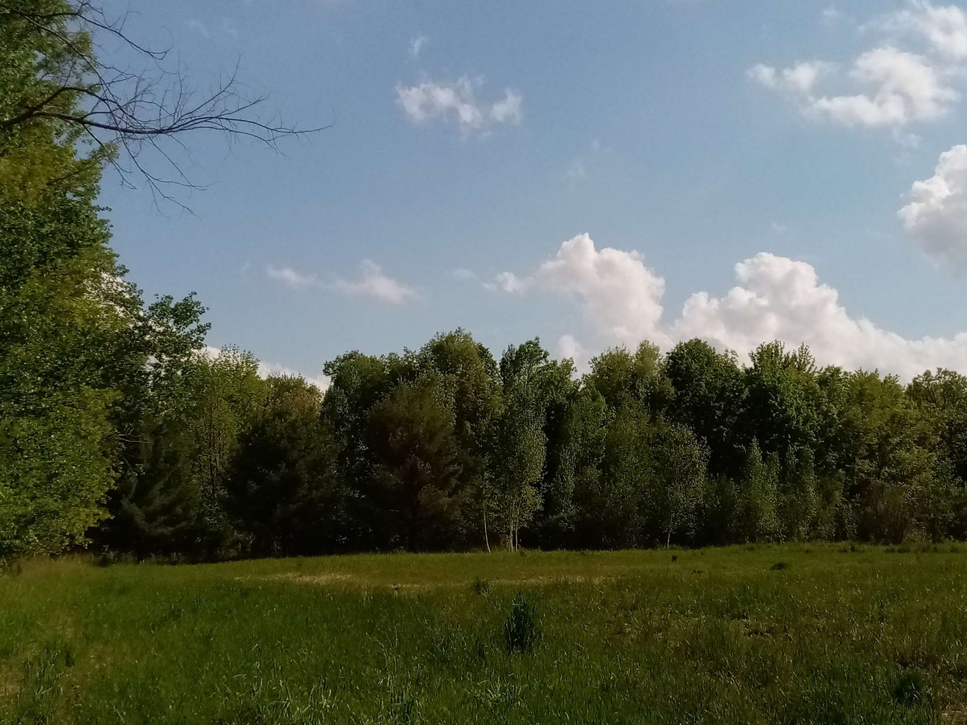 Paradise Acres - Hipcamp in Frederic, Wisconsin